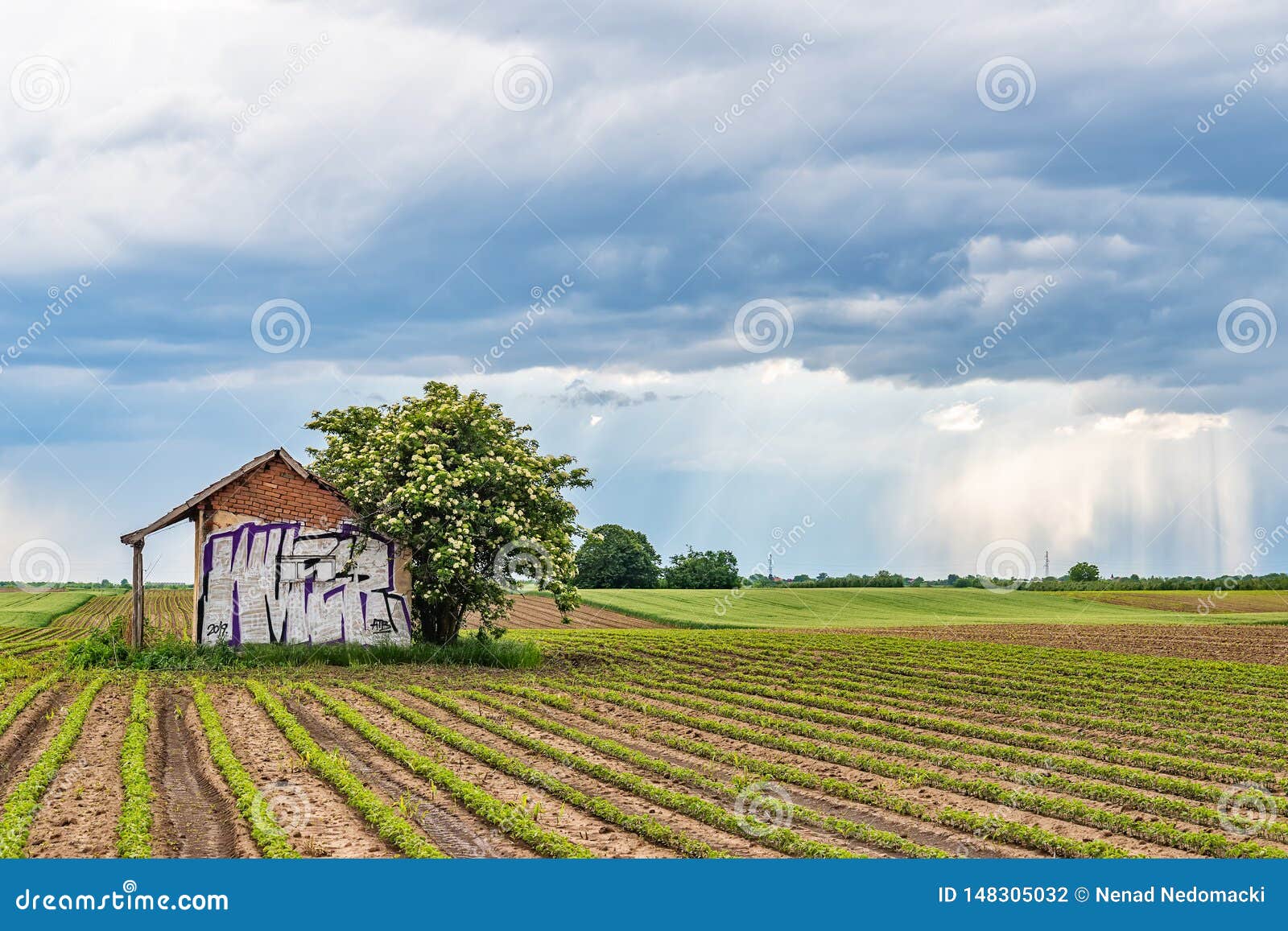 Old House in the field stock photo. Image of farm, eternity - 148305032
