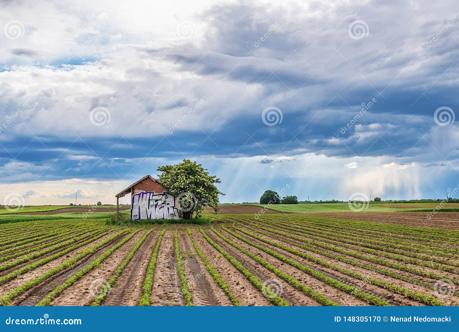 Old House in the field stock photo. Image of green, agricultural ...