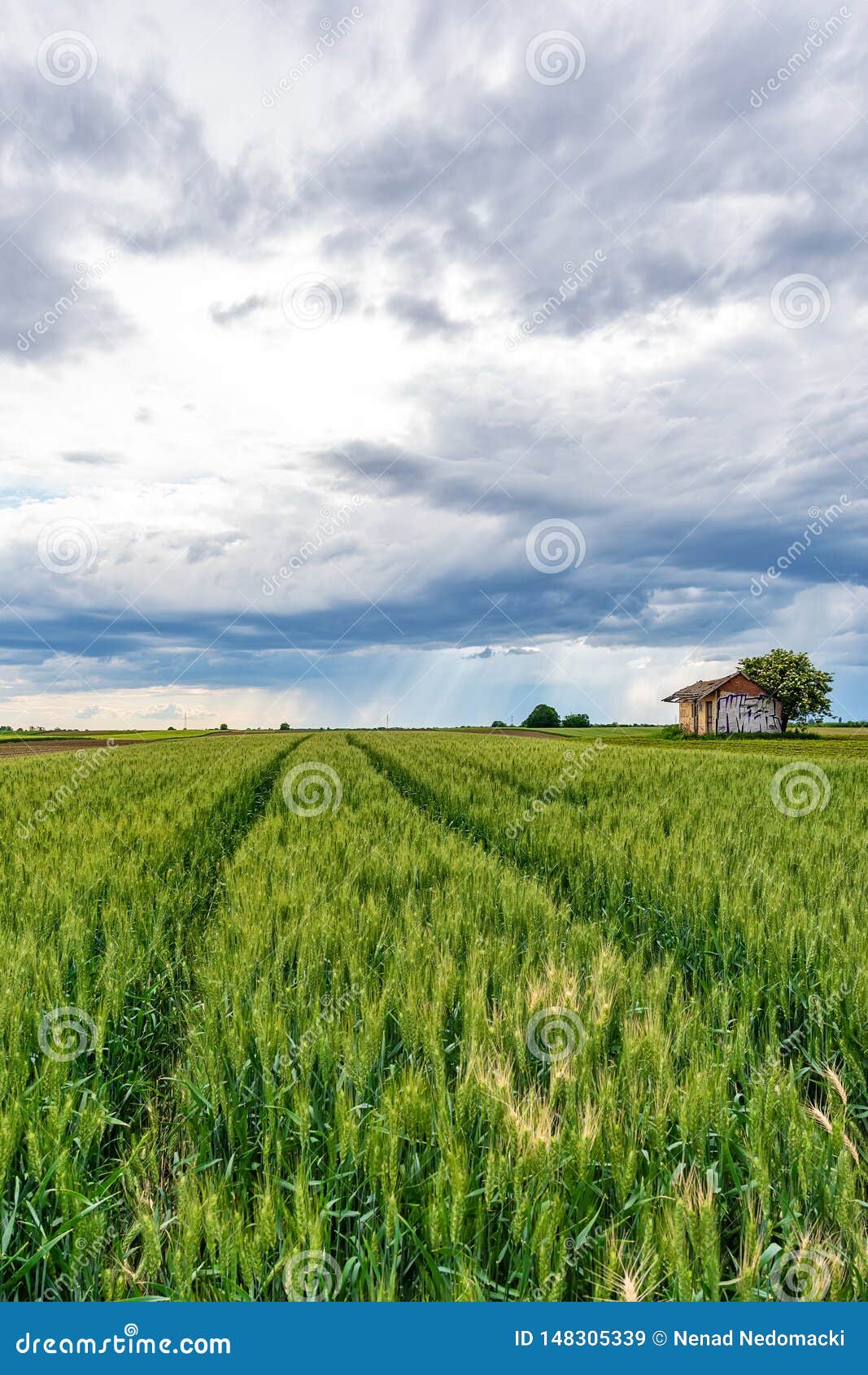 Old House in the field stock image. Image of house, panoramic - 148305339