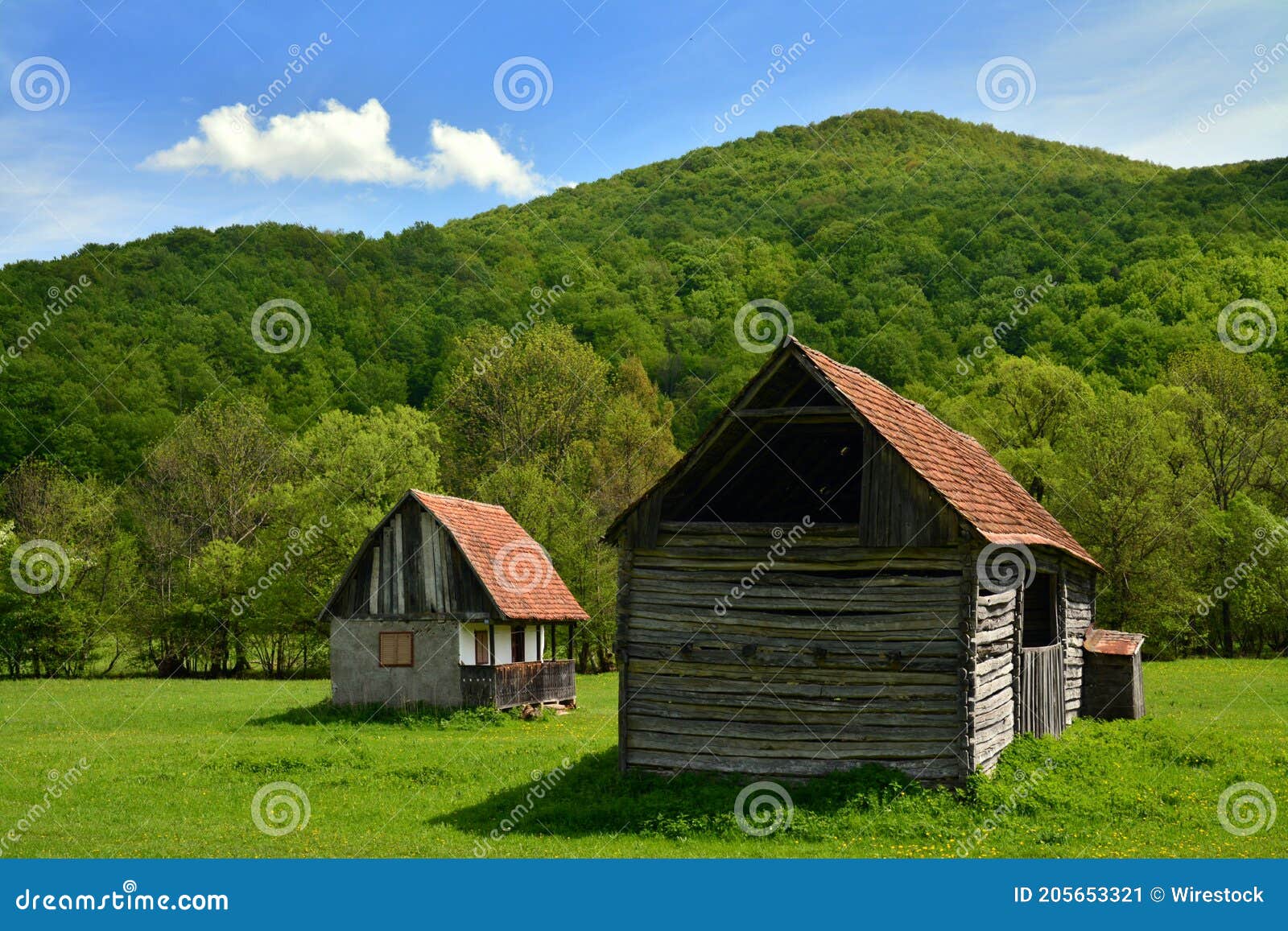 Old house in the field stock image. Image of nature - 205653321