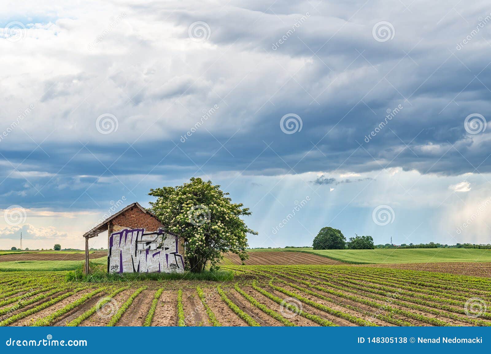 Old House in the field stock photo. Image of land, horizon - 148305138