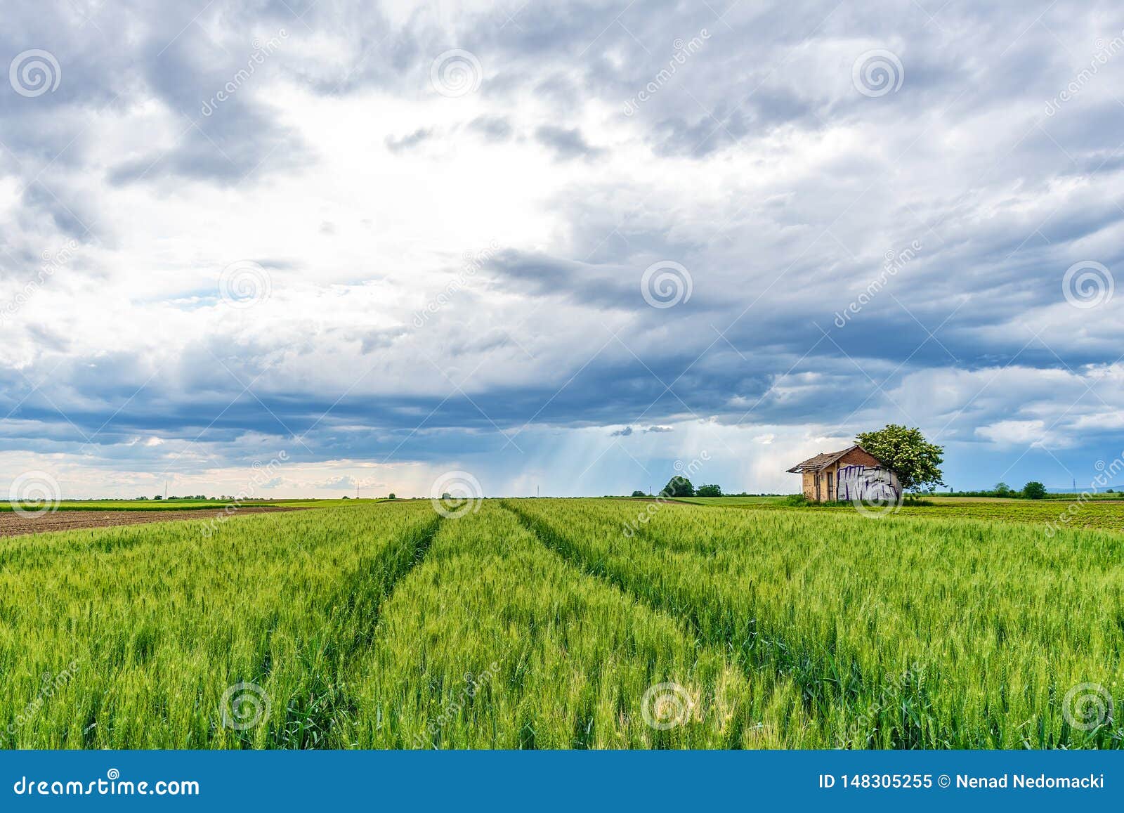Old House in the field stock image. Image of plain, europe - 148305255