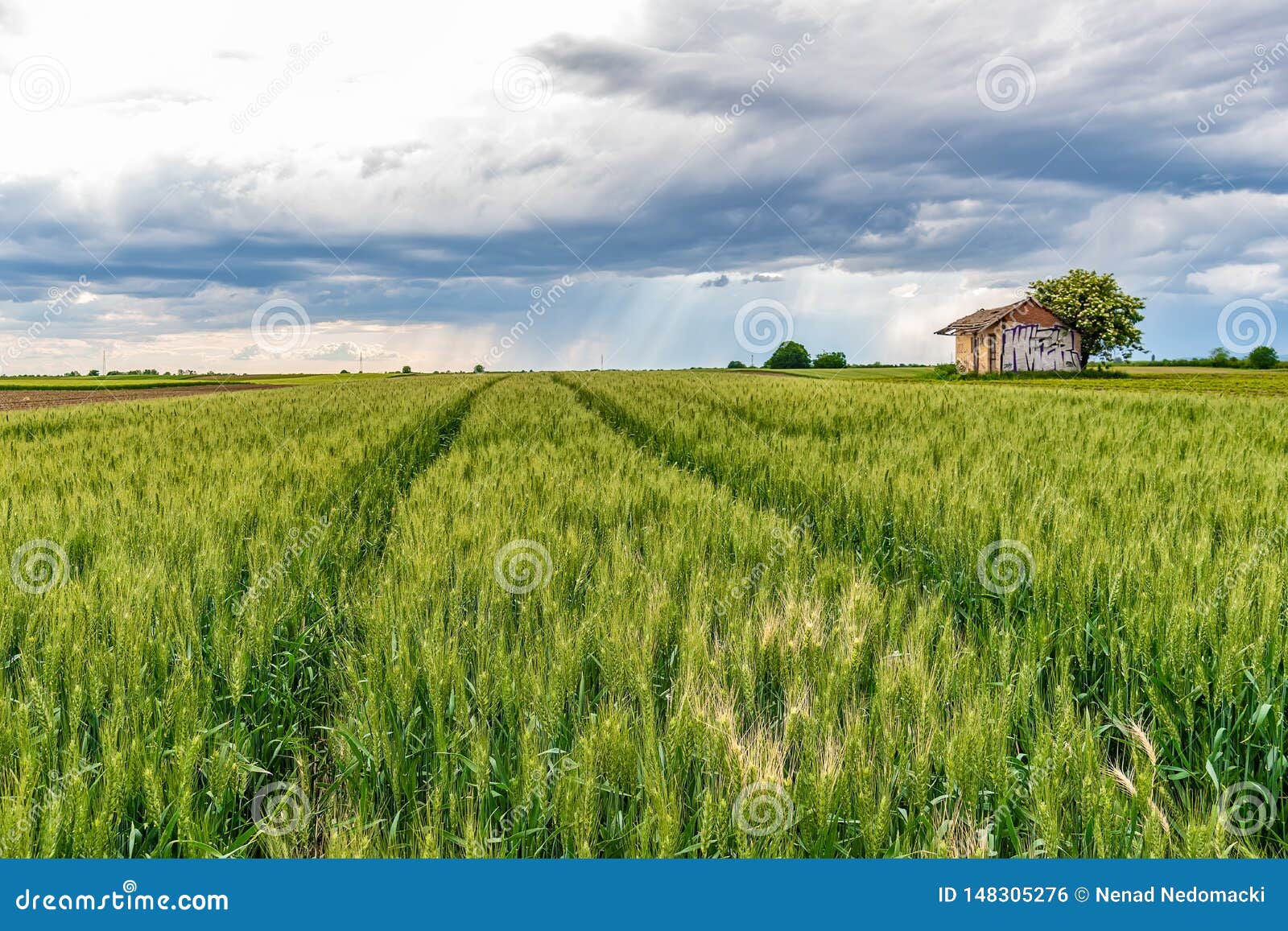 Old House in the field stock photo. Image of farm, plain - 148305276