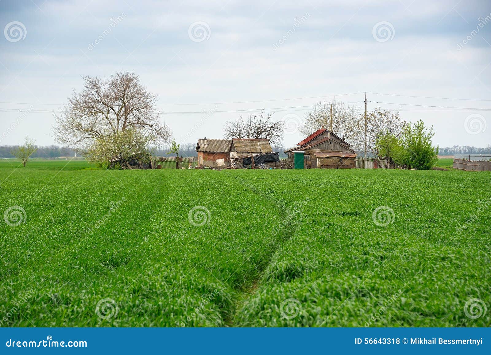 Old House in a Field of Wheat Stock Photo - Image of labour, wilderness ...