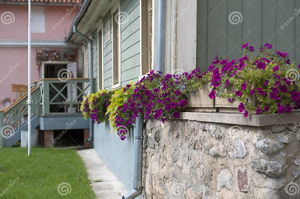 Old house with flowers stock photo. Image of town, italy - 55409182