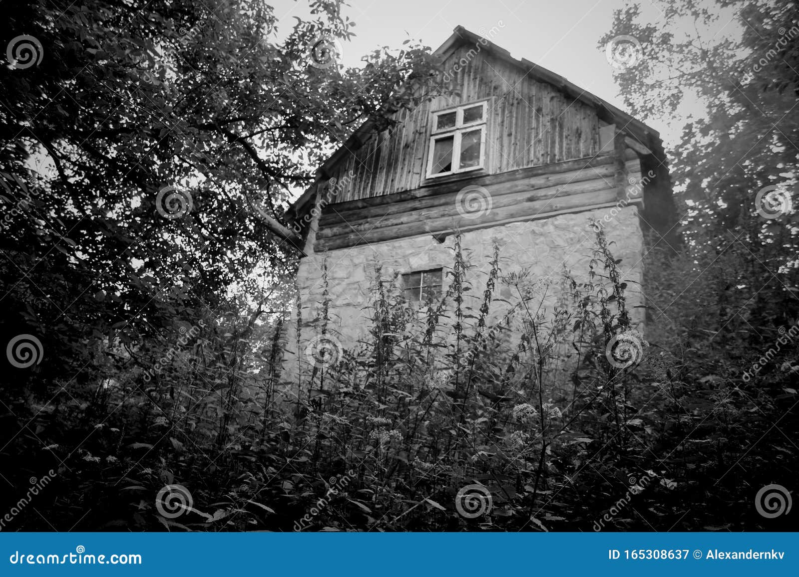 Old house in the forest stock image. Image of white - 165308637