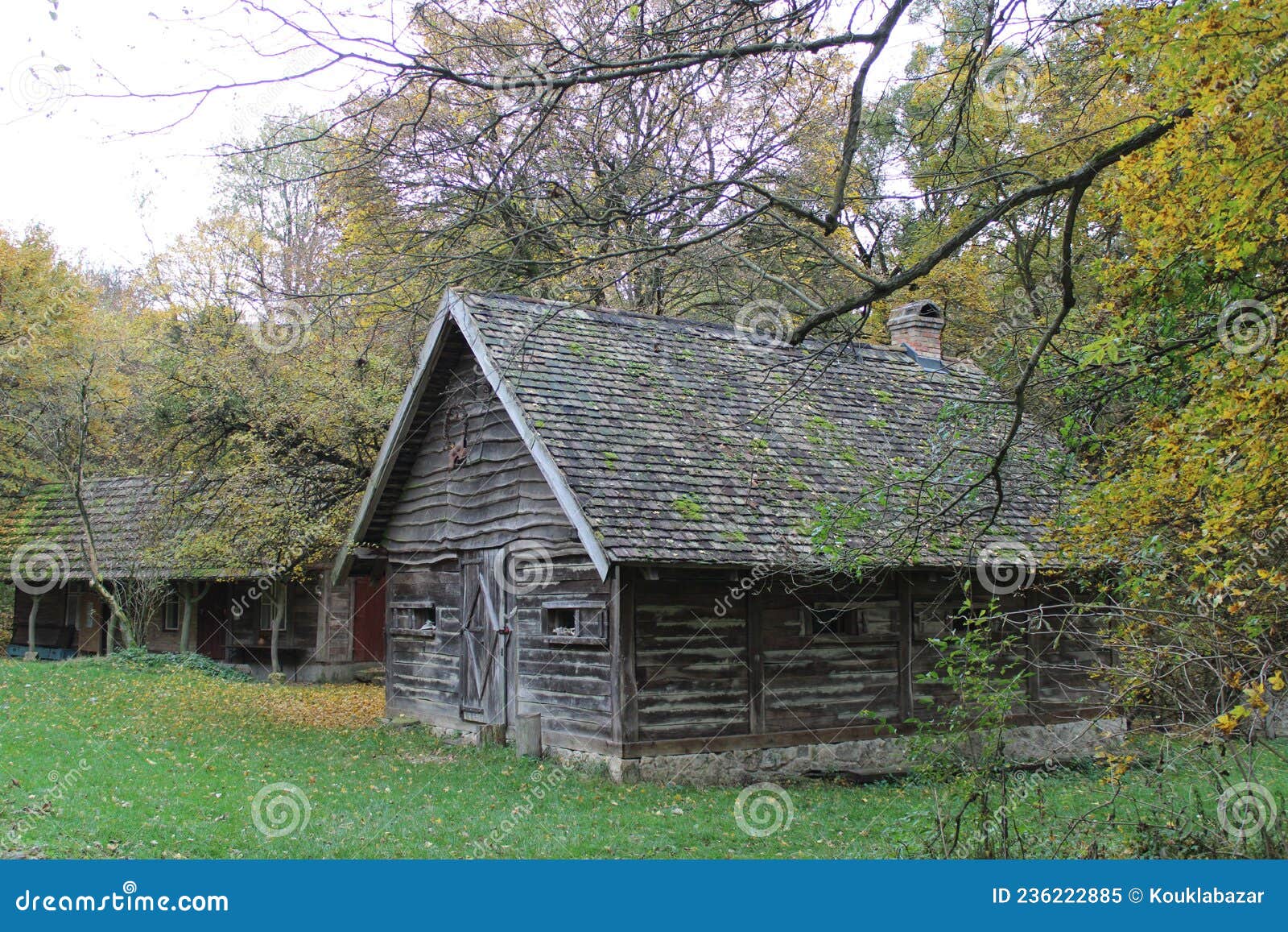 Old house in a forest stock image. Image of plants, beautiful - 236222885