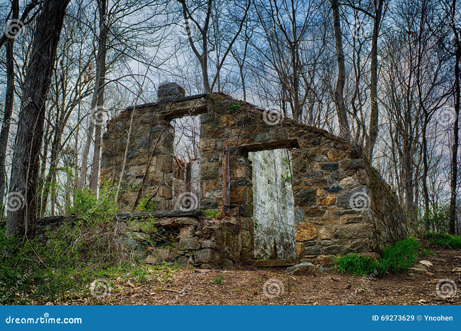 Old house in forrest stock image. Image of ruins, magical - 69273629