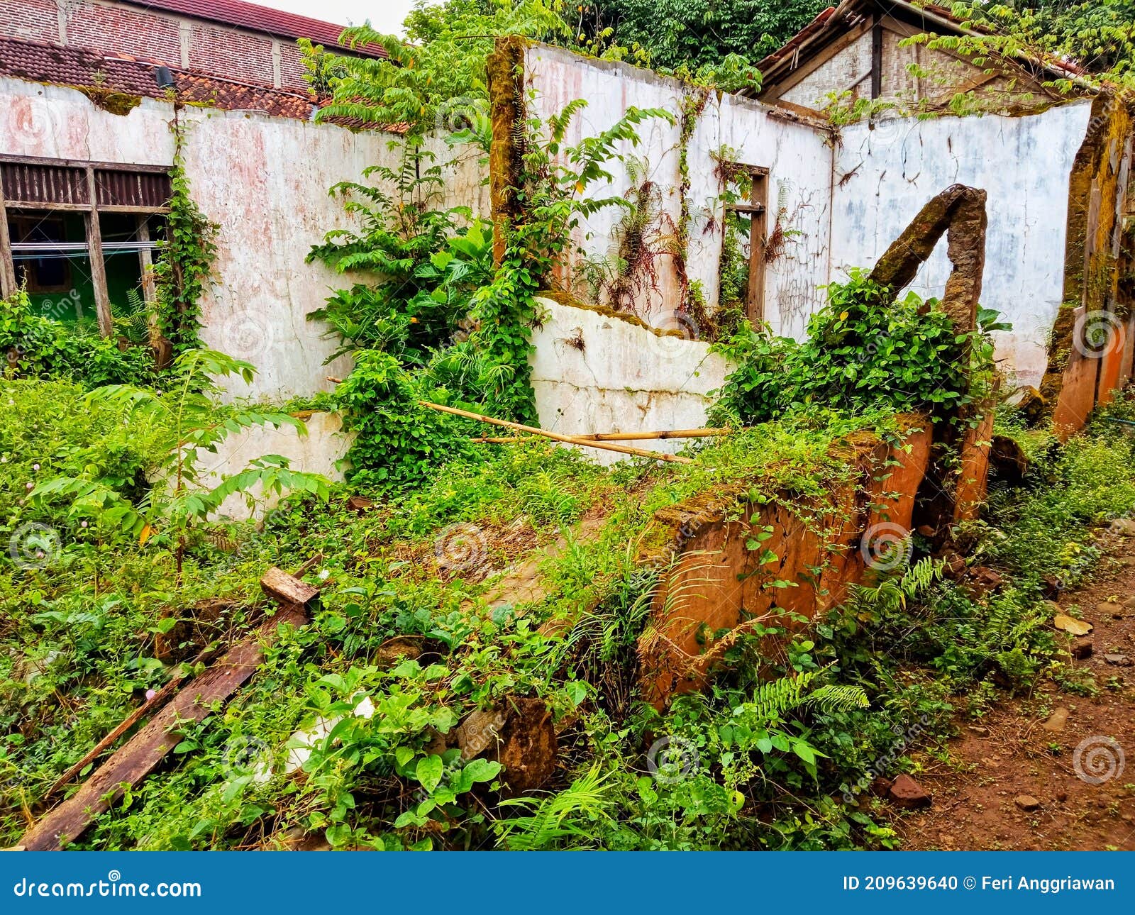 An Old House that Has Been Overgrown with Weeds Stock Photo - Image of ...