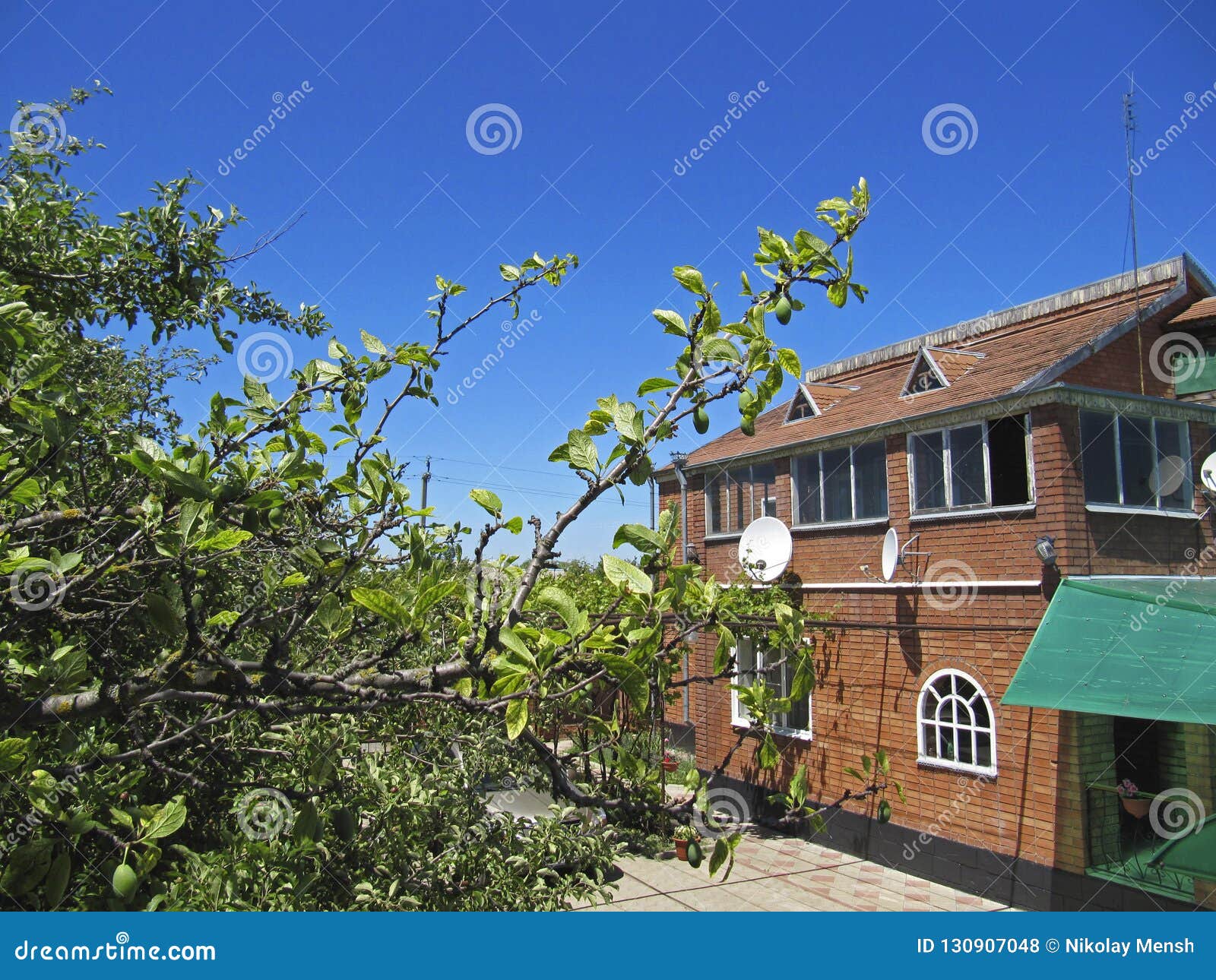 Old House Made of Bricks, Tree in Front Stock Photo - Image of blossoms ...