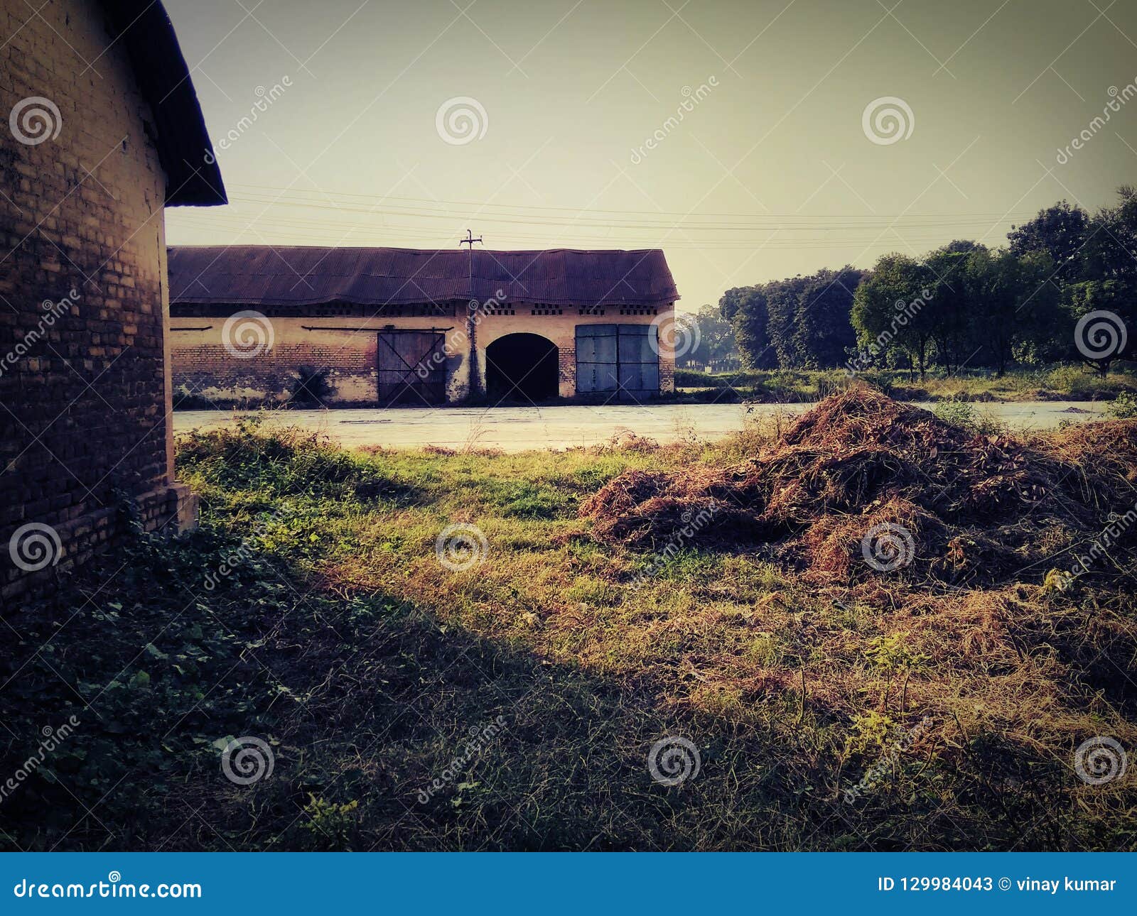 Iarai Stock Photos - Free & Royalty-Free Stock Photos from Dreamstime