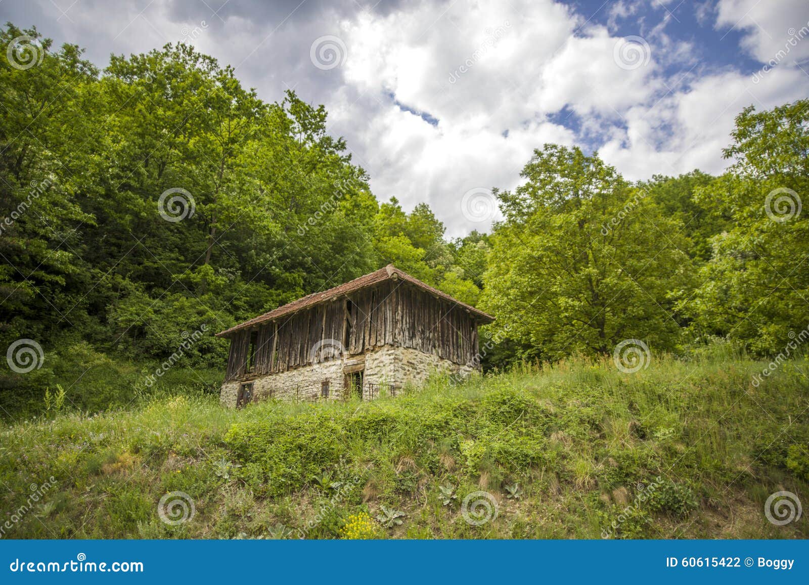 Old house in the nature stock photo. Image of tree, village - 60615422