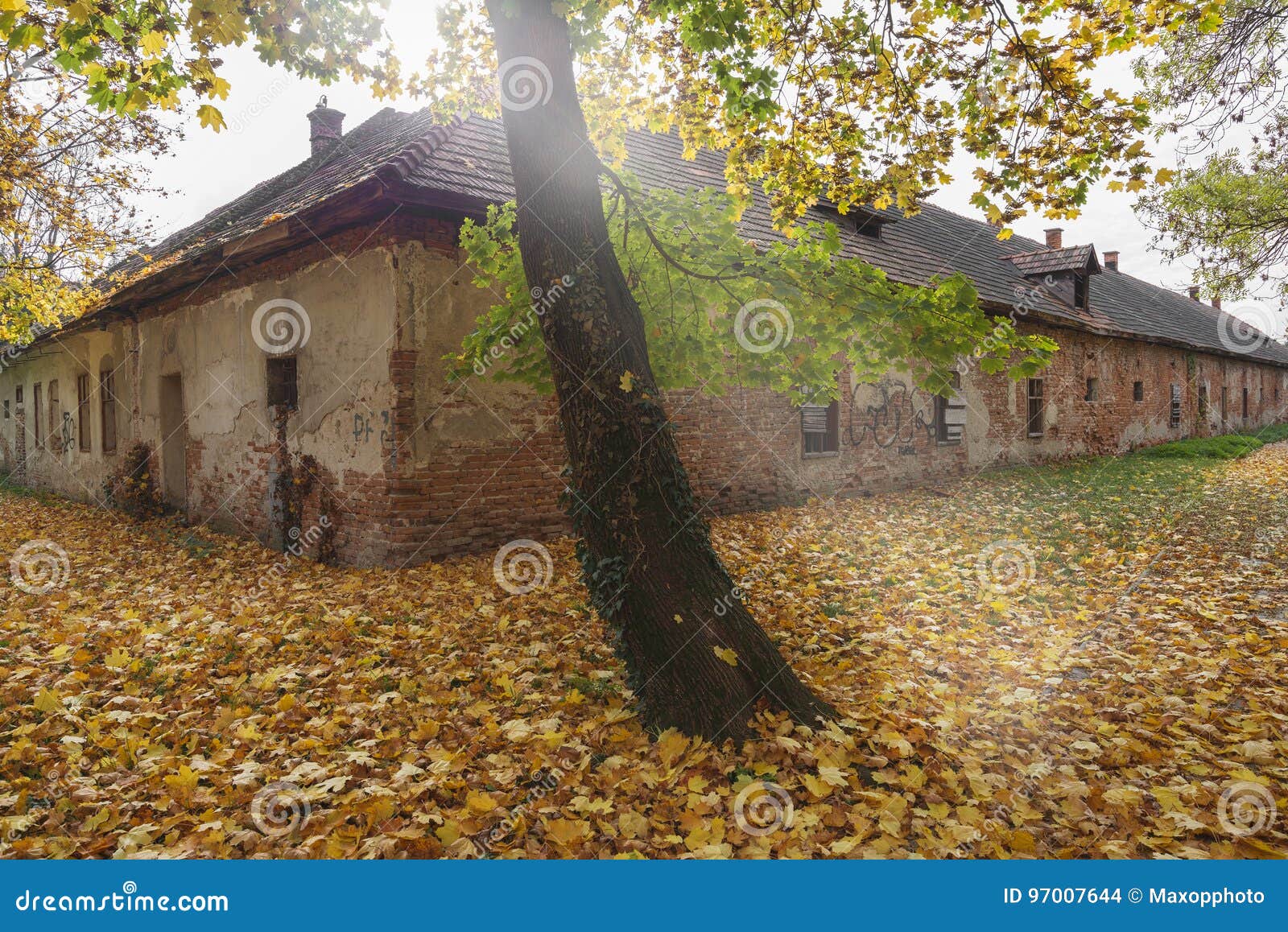 Old House in the Park in Fall Stock Photo - Image of color, house: 97007644