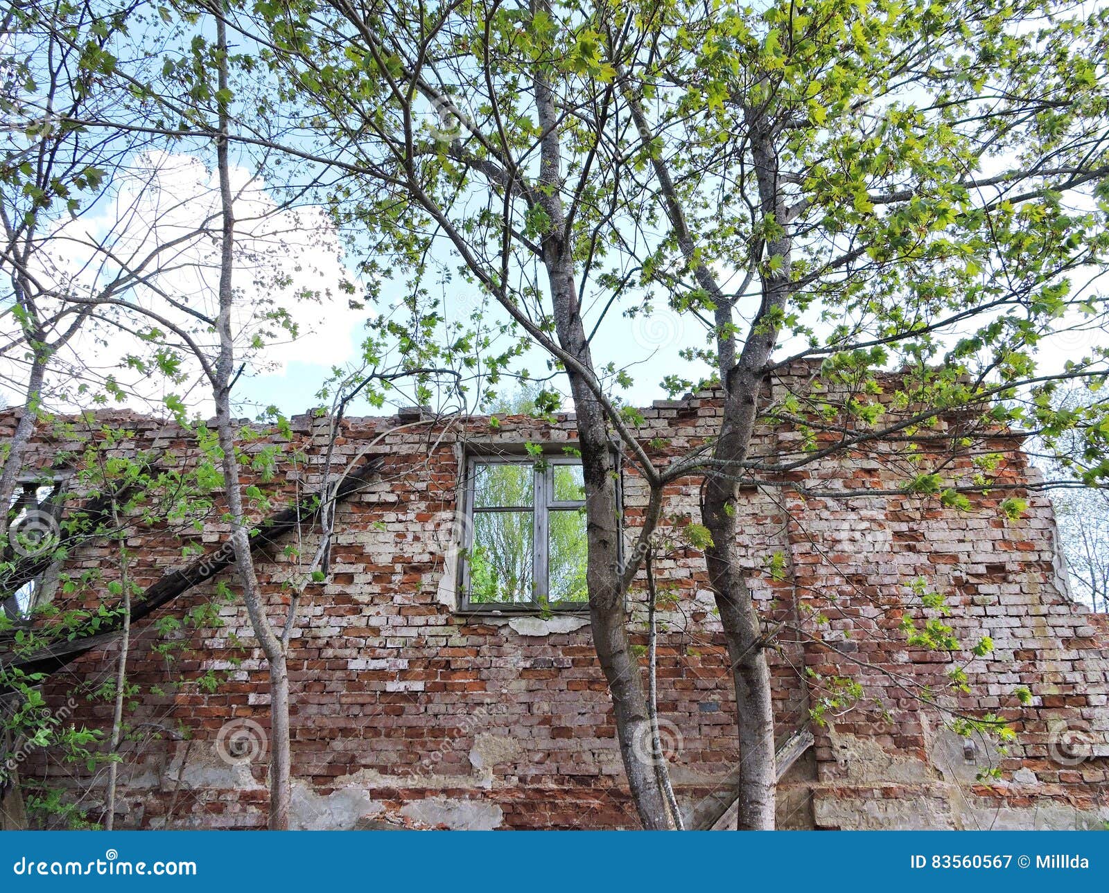 Old house ruins stock image. Image of destroyed, green - 83560567