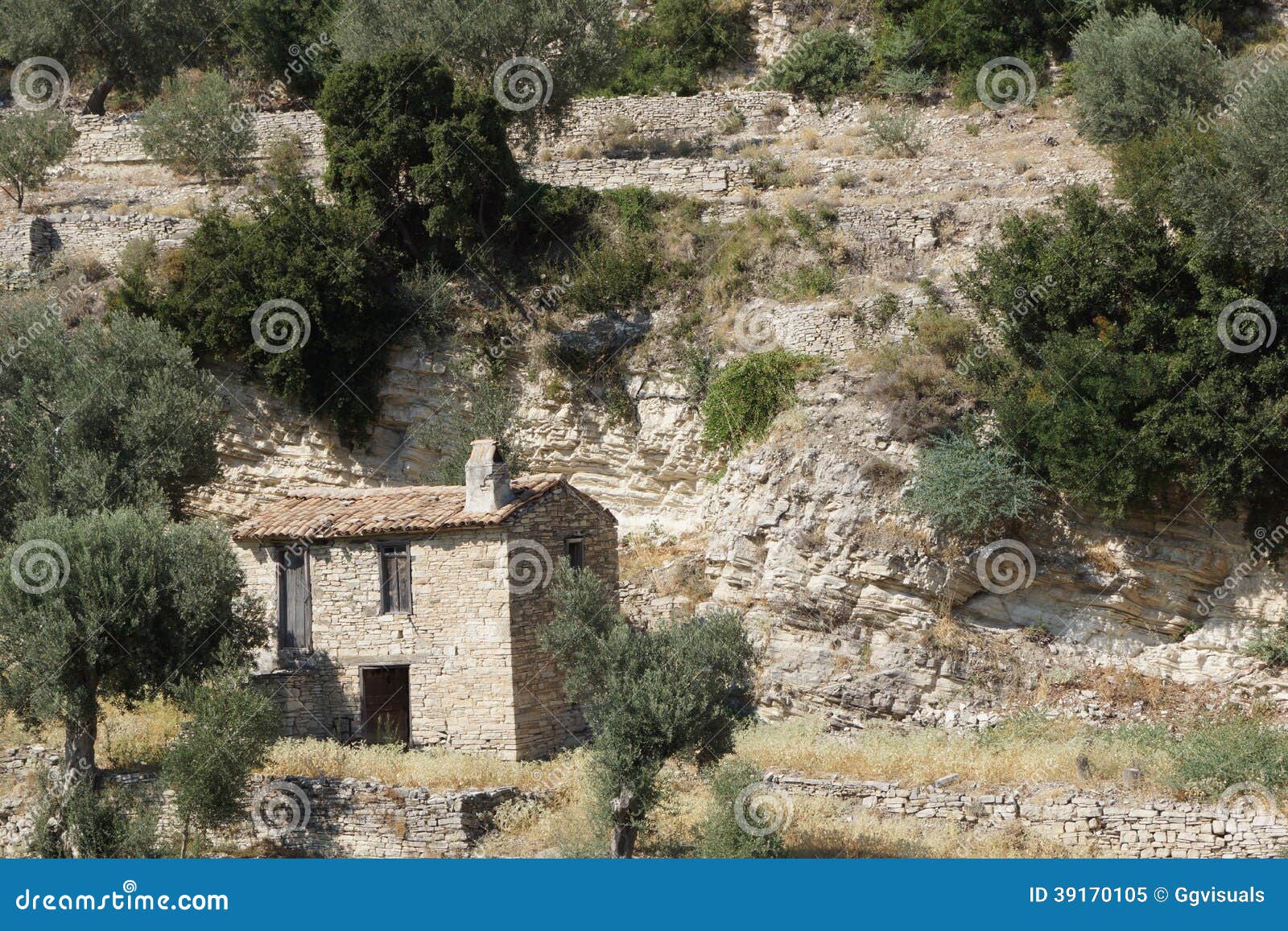 Old house on the slope stock image. Image of fowl, bird - 39170105