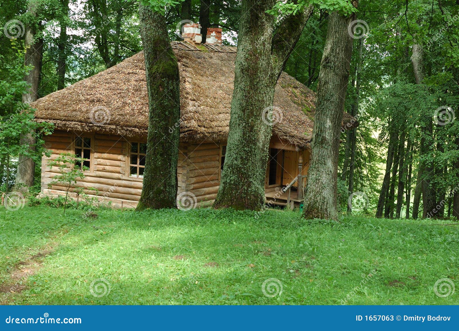 Old House with Straw Roof in the Dense Forest Stock Image - Image of ...