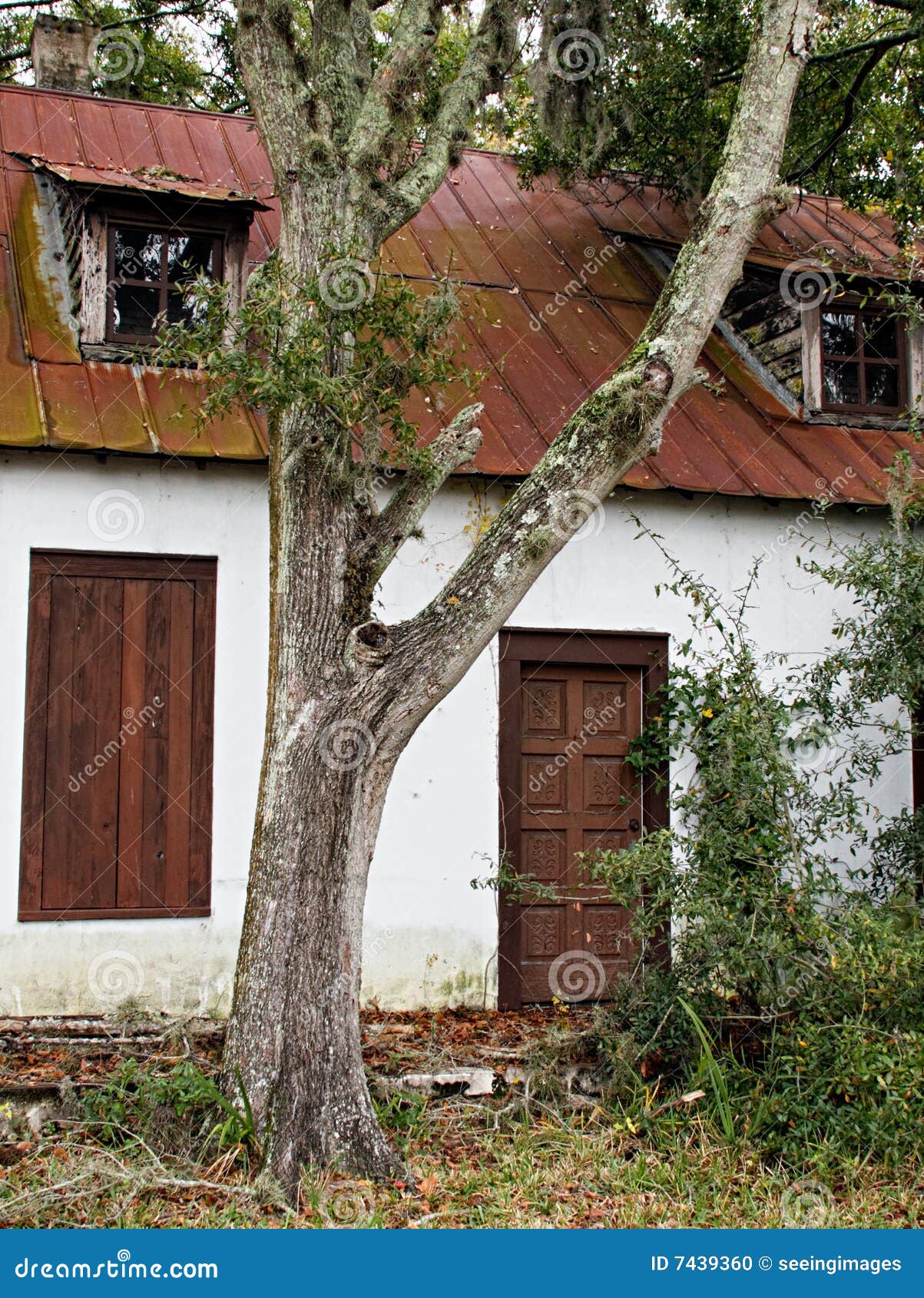 Old House and Tree Vertical Stock Photo - Image of florida, house: 7439360