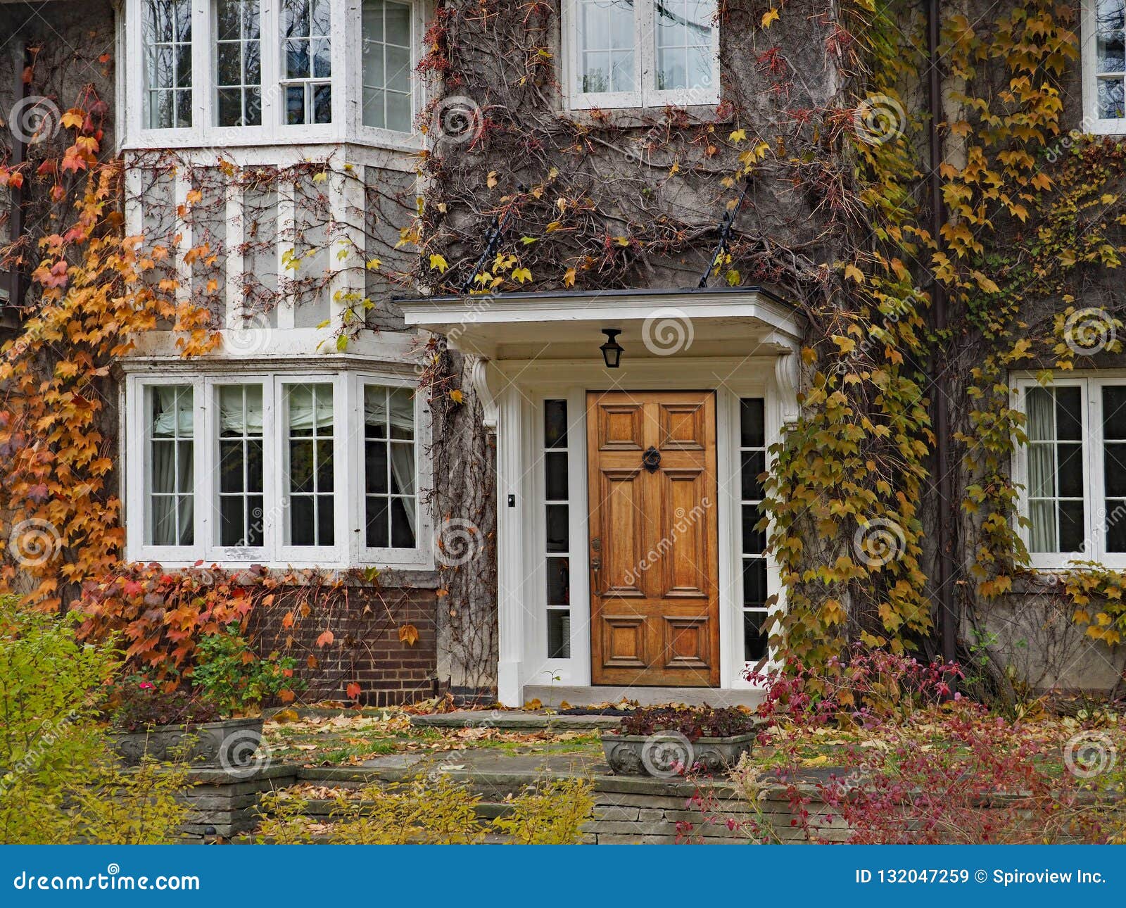 Old house with vines stock image. Image of door, vines - 132047259