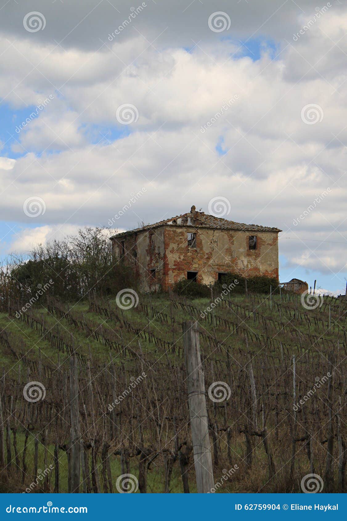 Old House and Vineyard stock photo. Image of wine, ruined - 62759904