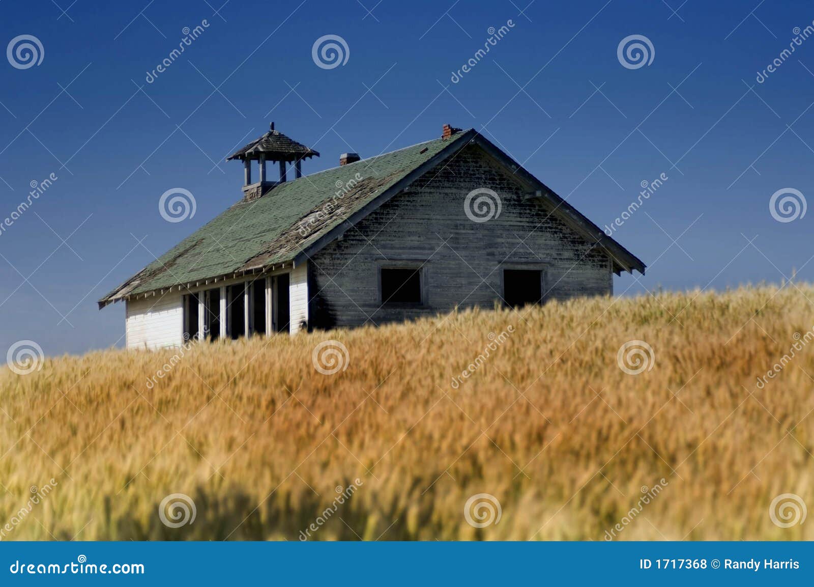 Old house in wheat field stock photo. Image of states - 1717368