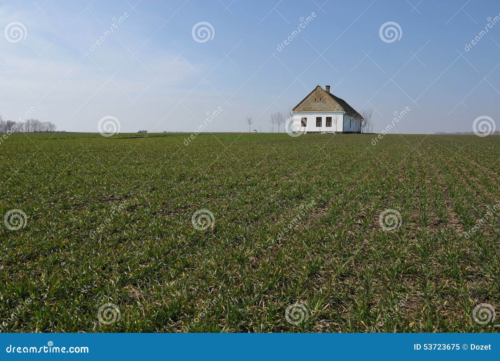 Old house in wheat field stock image. Image of farm, house - 53723675