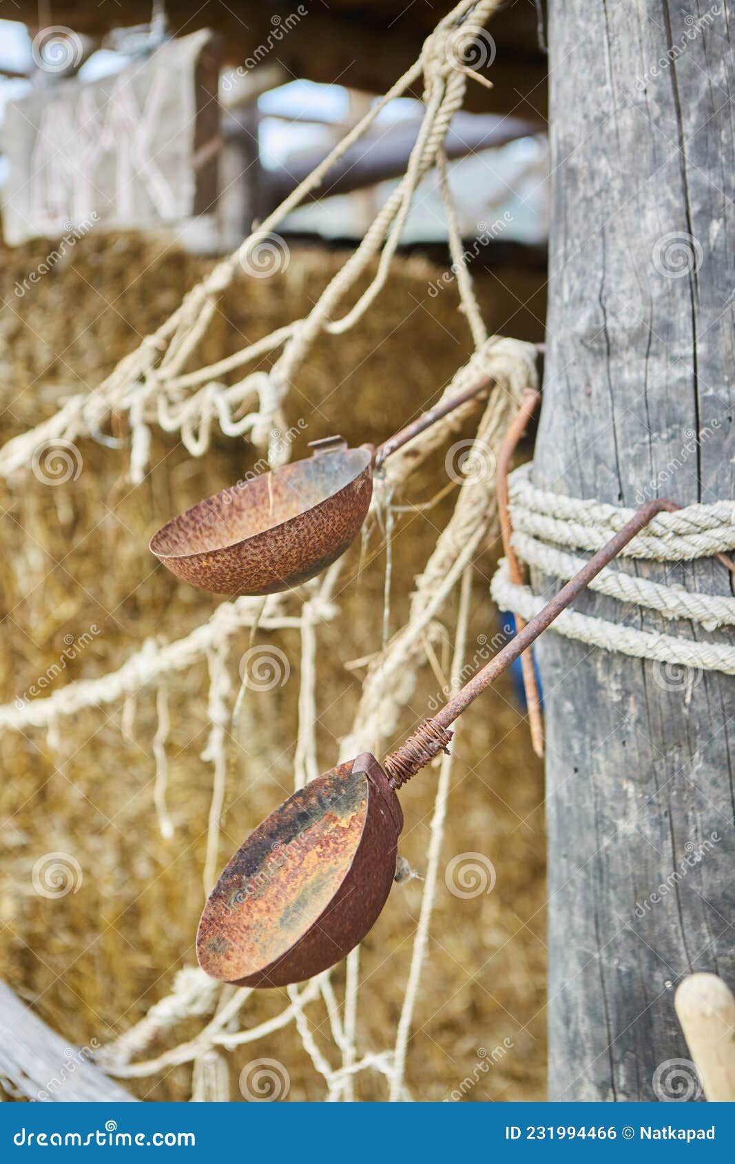 Old Household Items of the Past Stock Photo - Image of spoon, ladle ...