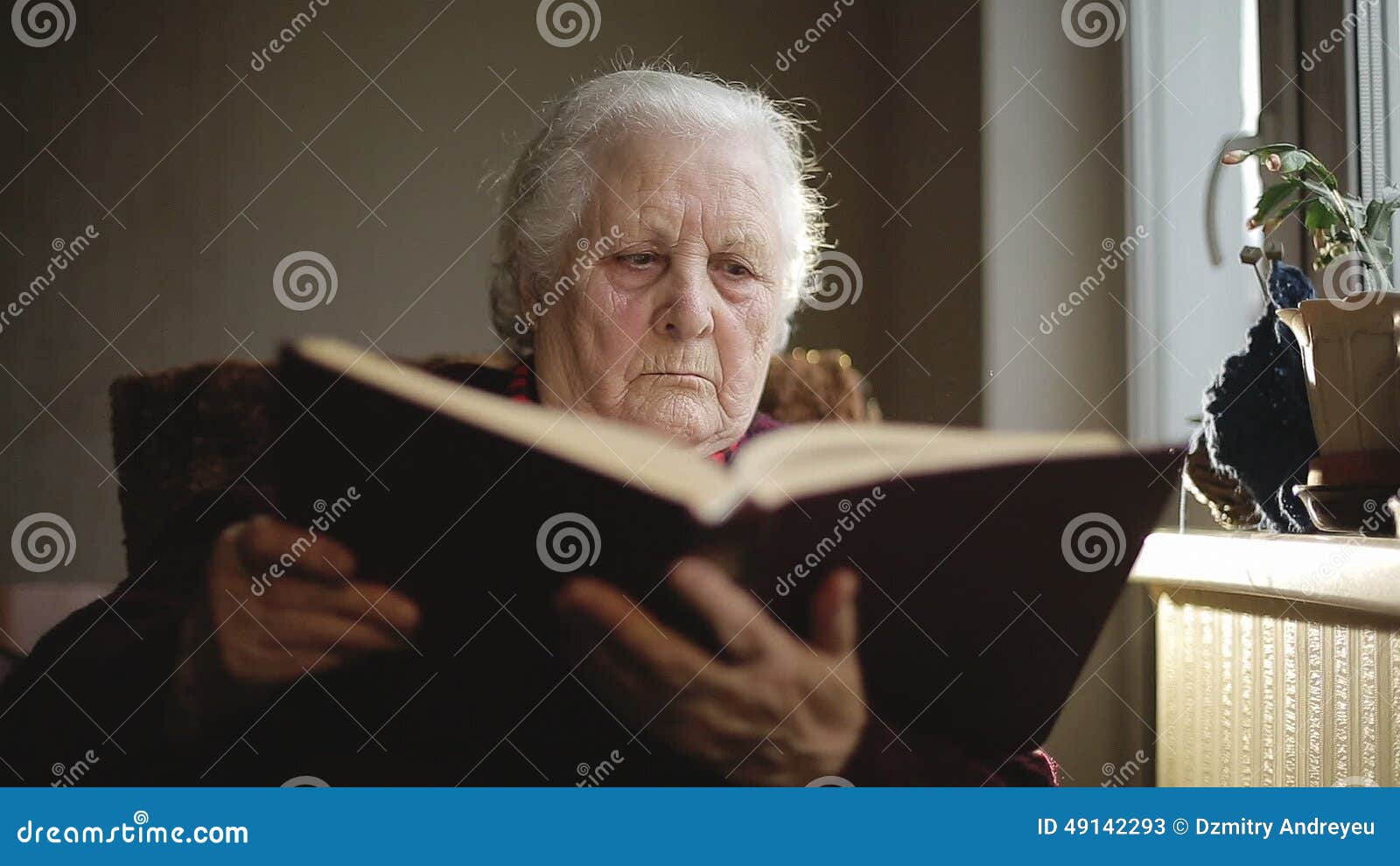 Old human reading a book. stock video. Video of lighting - 49142293