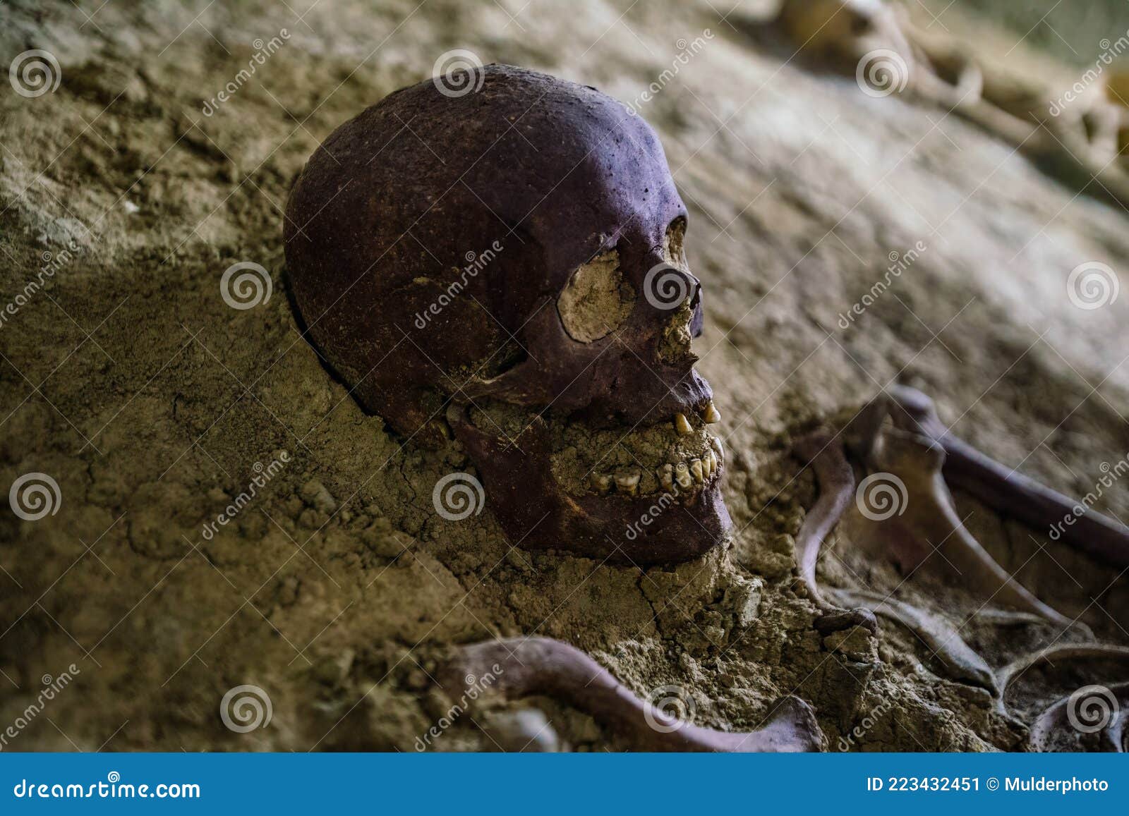 Old Human Skeleton in Ancient Tomb at Archaeological Excavation Stock ...