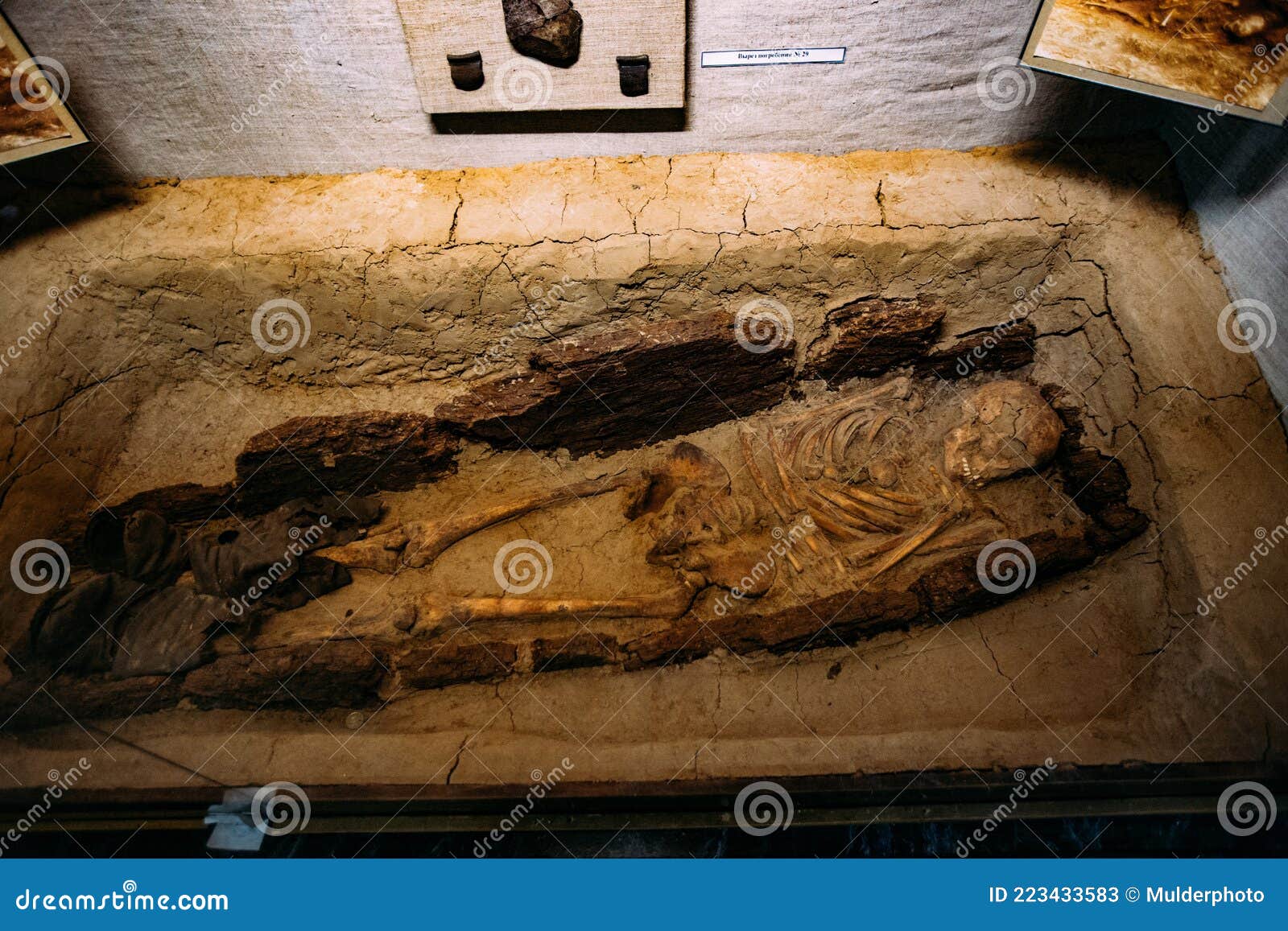 Old Human Skeleton in Ancient Tomb at Archaeological Excavation Stock ...