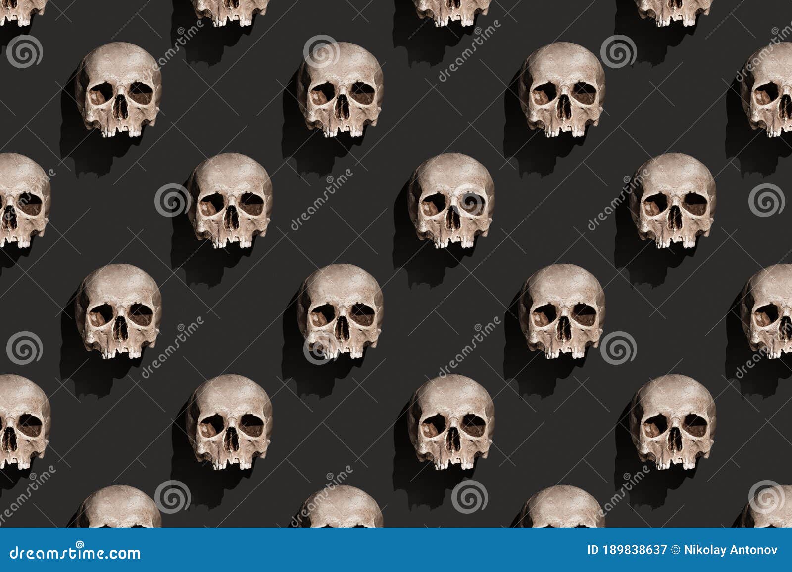 Old Human Skull with Shadow on Black Background Abstract Pattern Stock ...