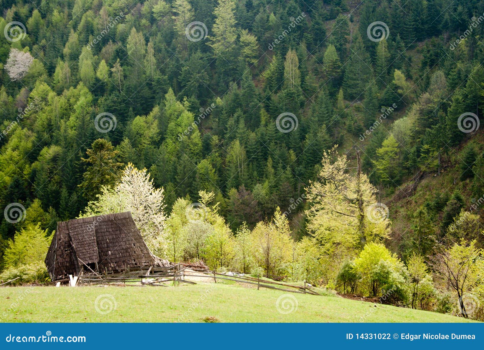 Old hut stock photo. Image of mountain, trees, forests - 14331022