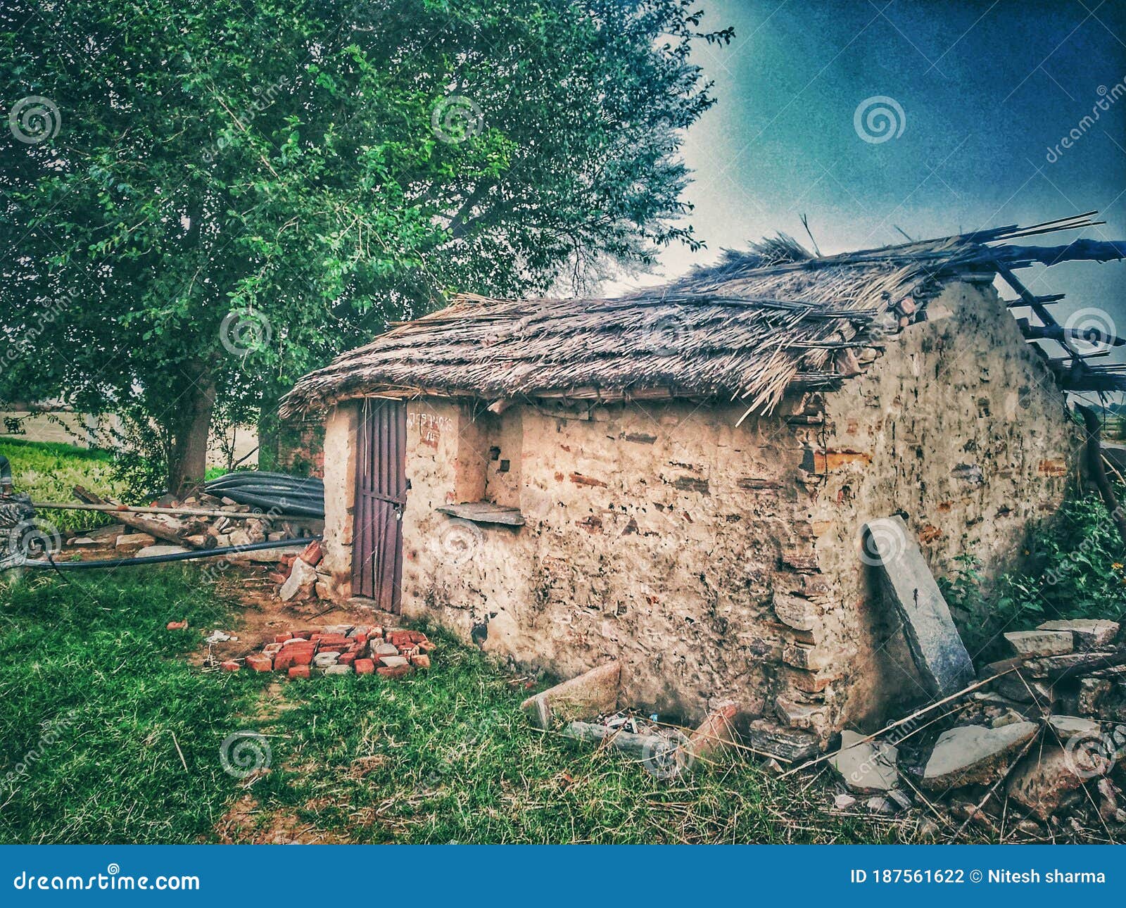 Old hut stock photo. Image of barn, wall, building, ruins - 187561622