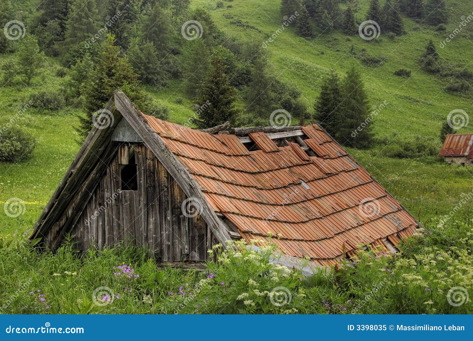 Old hut stock image. Image of rooftiles, board, flower - 3398035