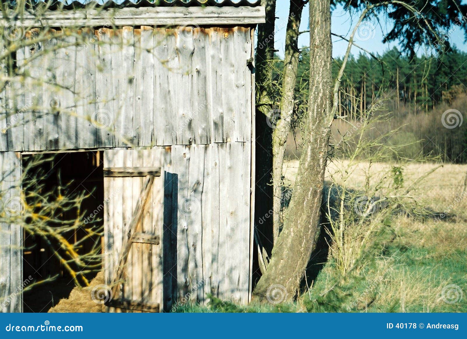 Old hut stock photo. Image of plants, sunlight, plant, nature - 40178