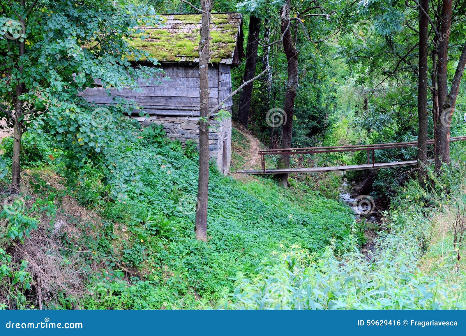 Old hut in the forest stock photo. Image of uninhabited - 59629416