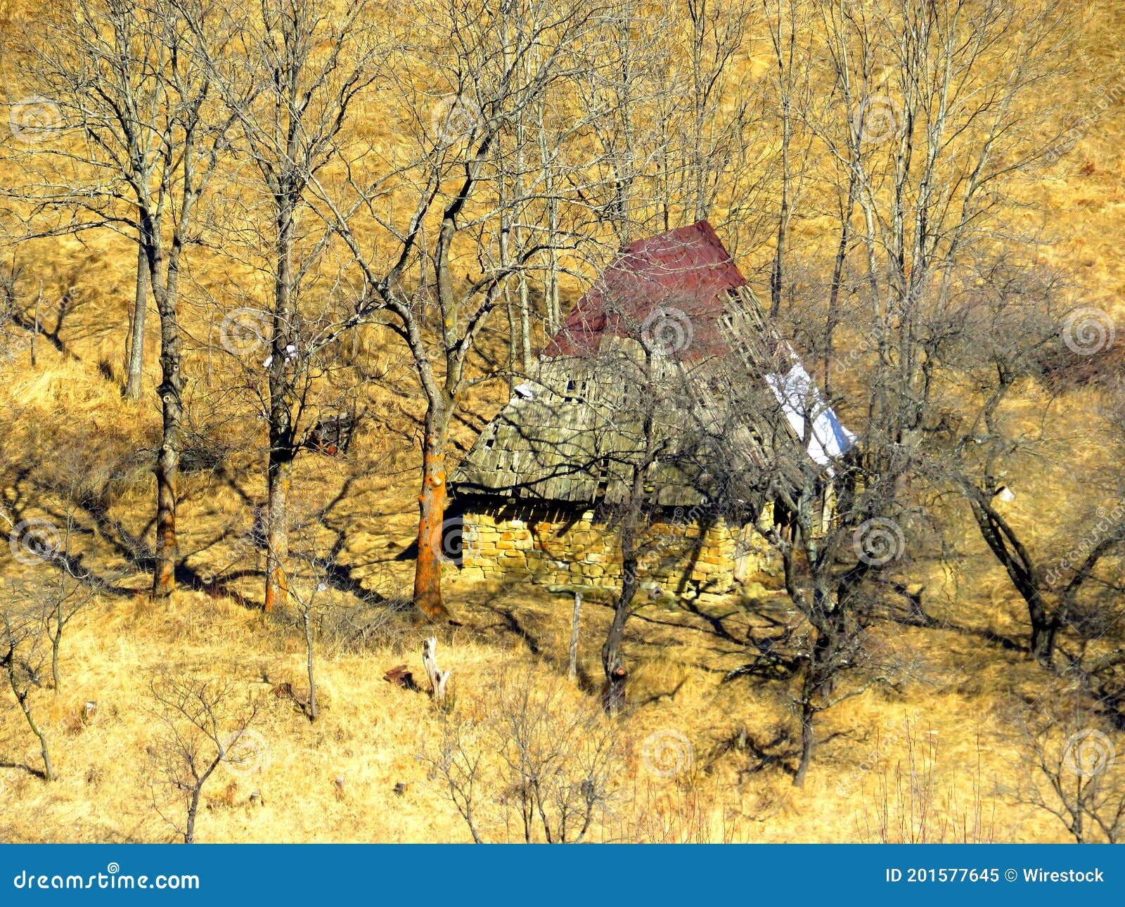 Old Hut Hidden in the Autumn Trees Stock Image - Image of leafless ...