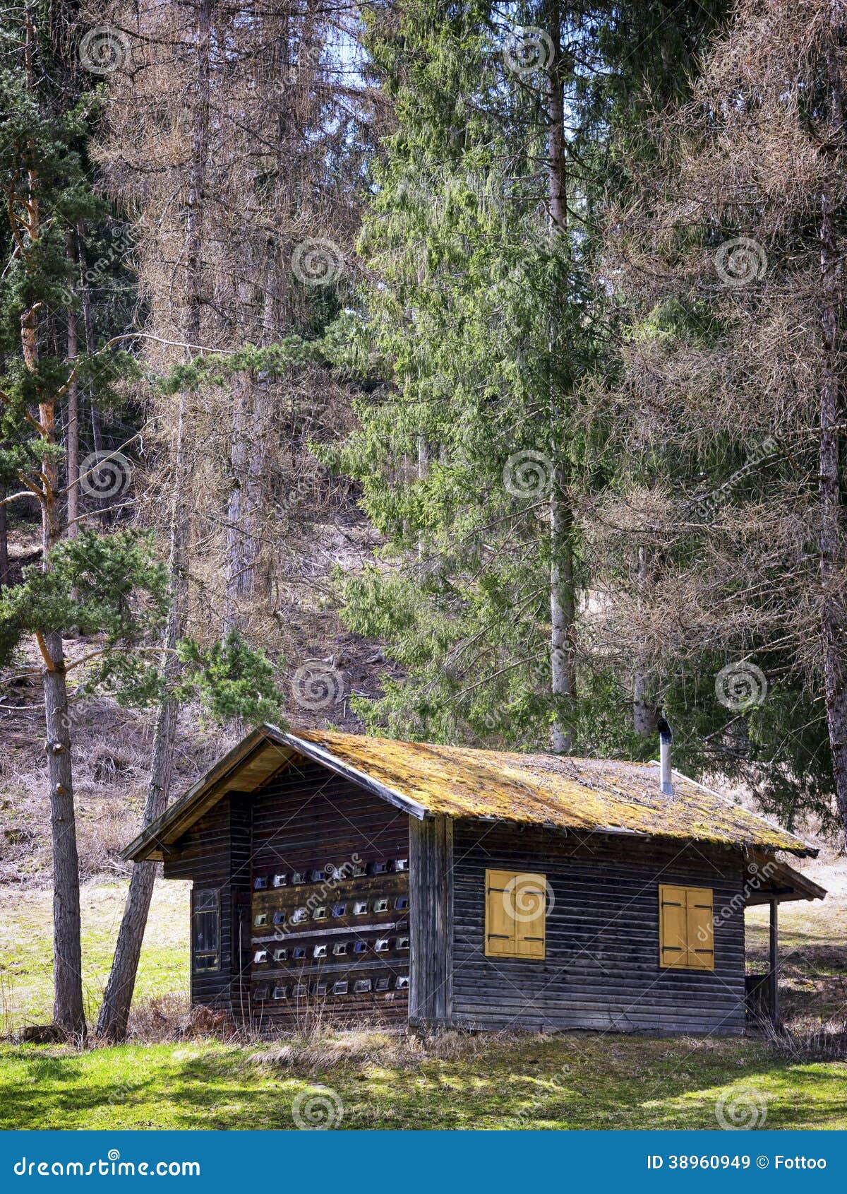 Old hut stock image. Image of sunlight, green, landscaped - 38960949