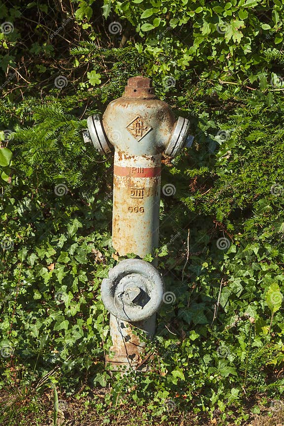 Old Hydrant, Fire Hydrant, Water Tapping Point Stock Photo - Image of ...