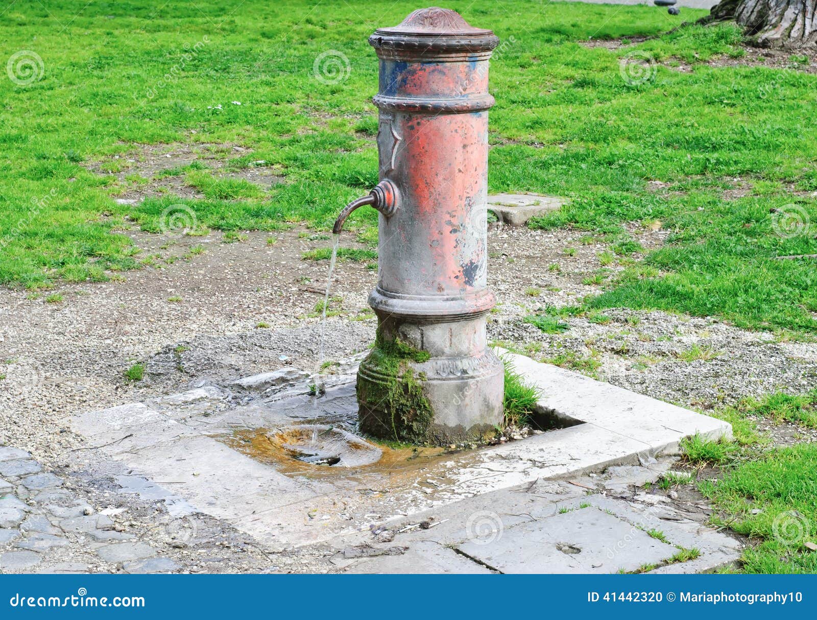 Hydrant With Flowing Water Stock Photo | CartoonDealer.com #114611760