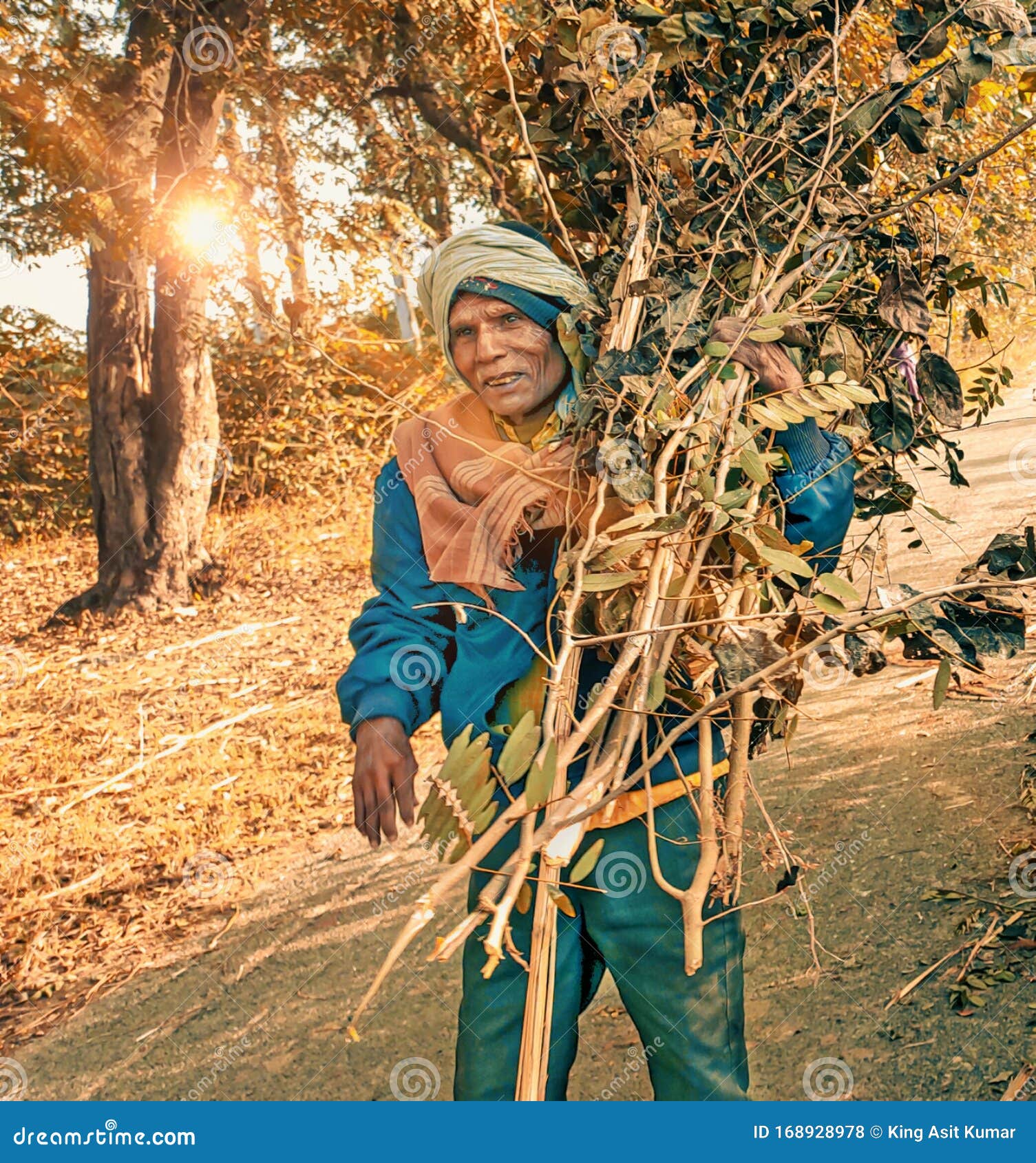 An Old Indian Farmer Working Editorial Stock Photo - Image of woods ...