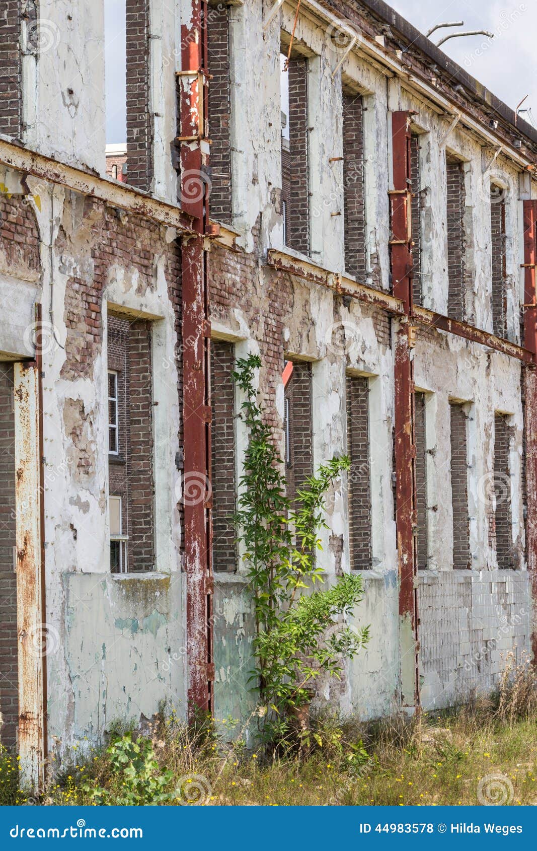 Industrial Wall Mounted Vertical Running Stainless Aluminum Pipes Stock ...