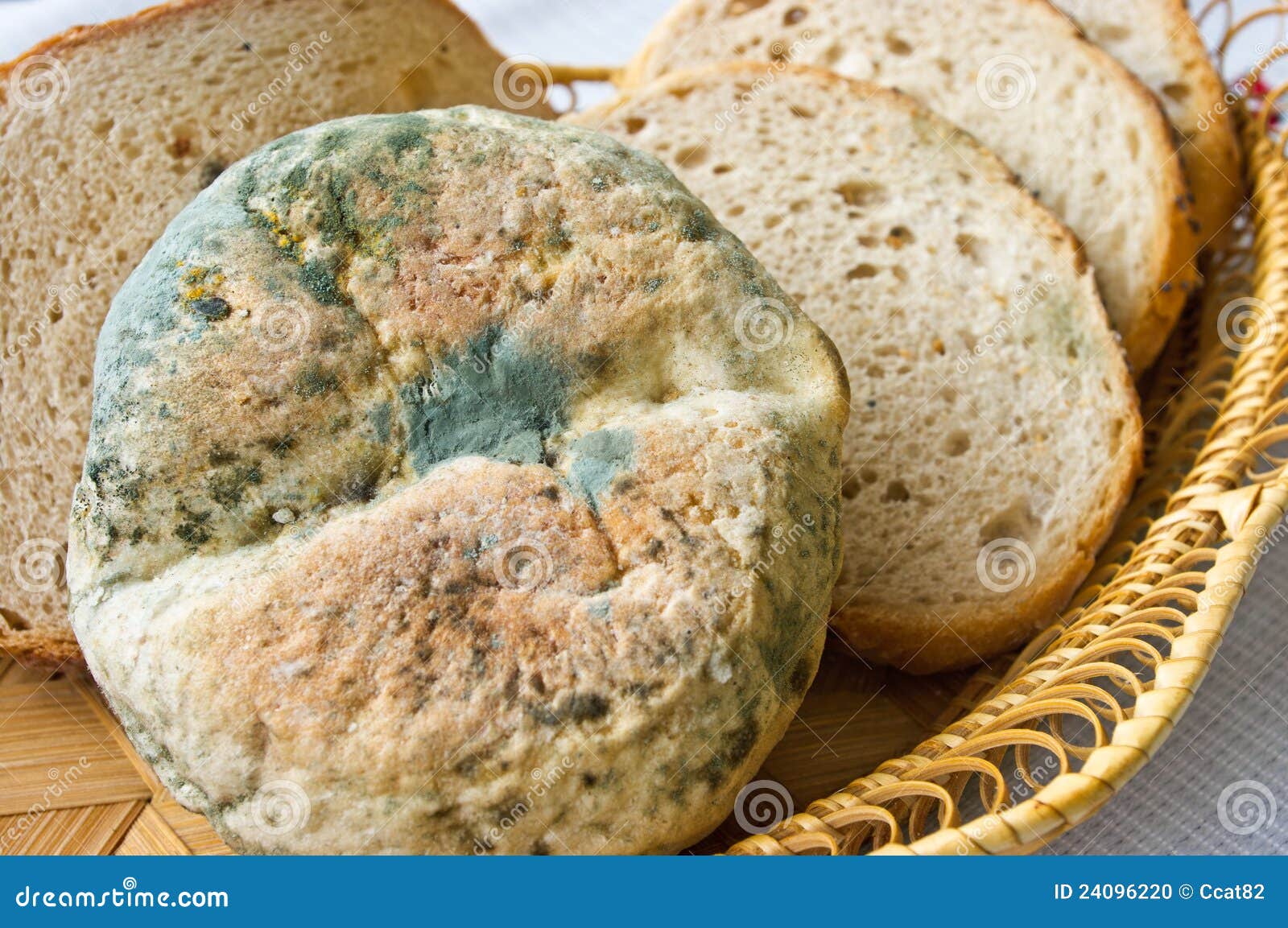 Old inedible food stock photo. Image of aged, dirt, mouldy - 24096220