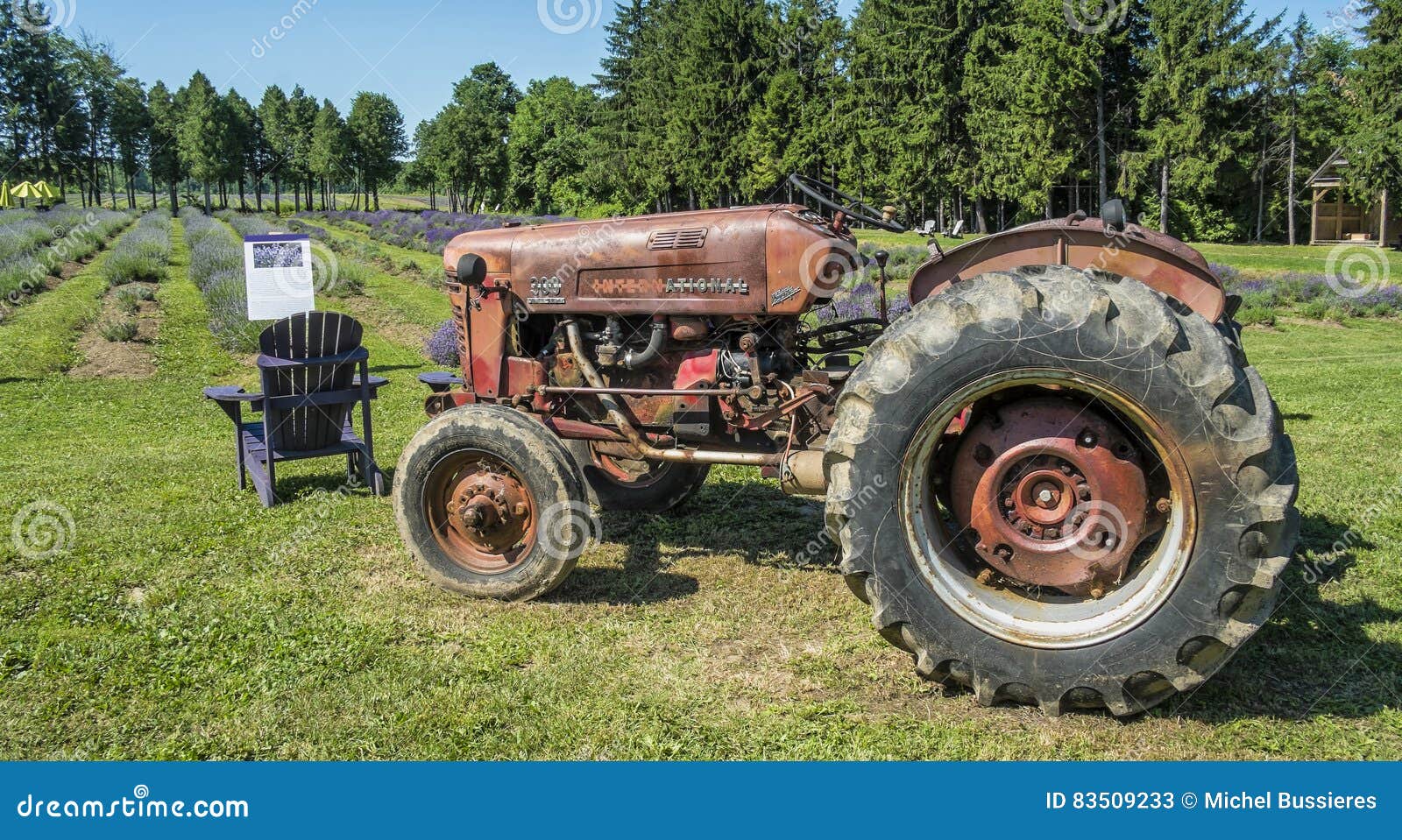Old International Red Tractor Editorial Stock Photo - Image of rural ...