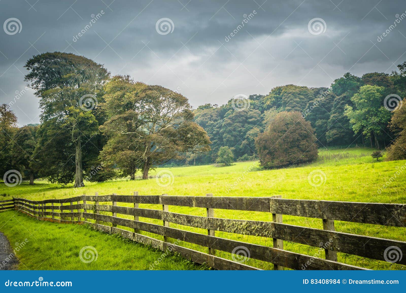 Old Irish fence stock photo. Image of green, ireland - 83408984