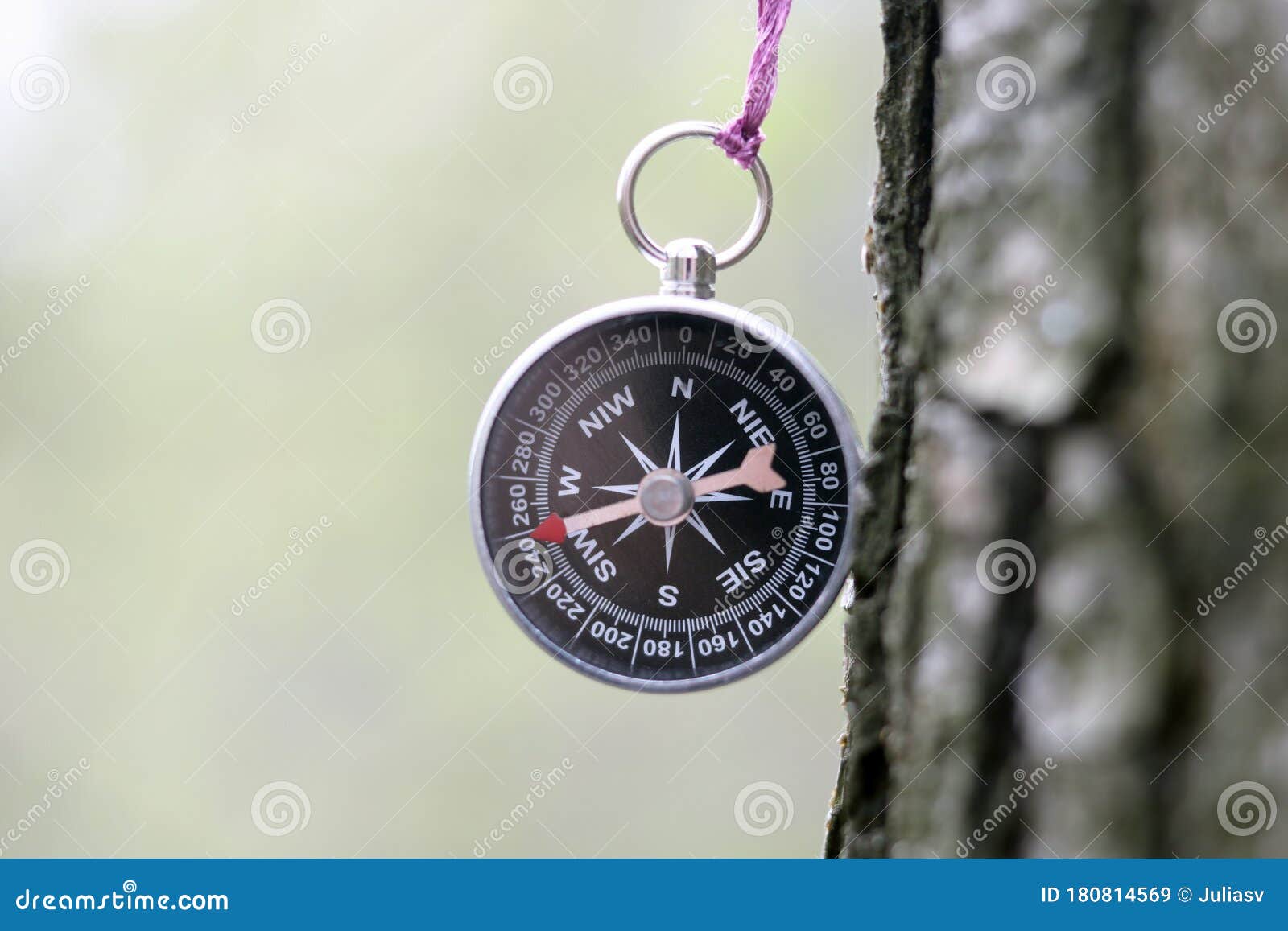 Old Compass on Tree in Forest Stock Image - Image of measurement ...