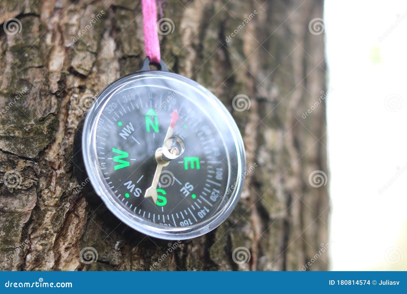 Old Compass on Tree in Forest Stock Photo - Image of bank, equipment ...