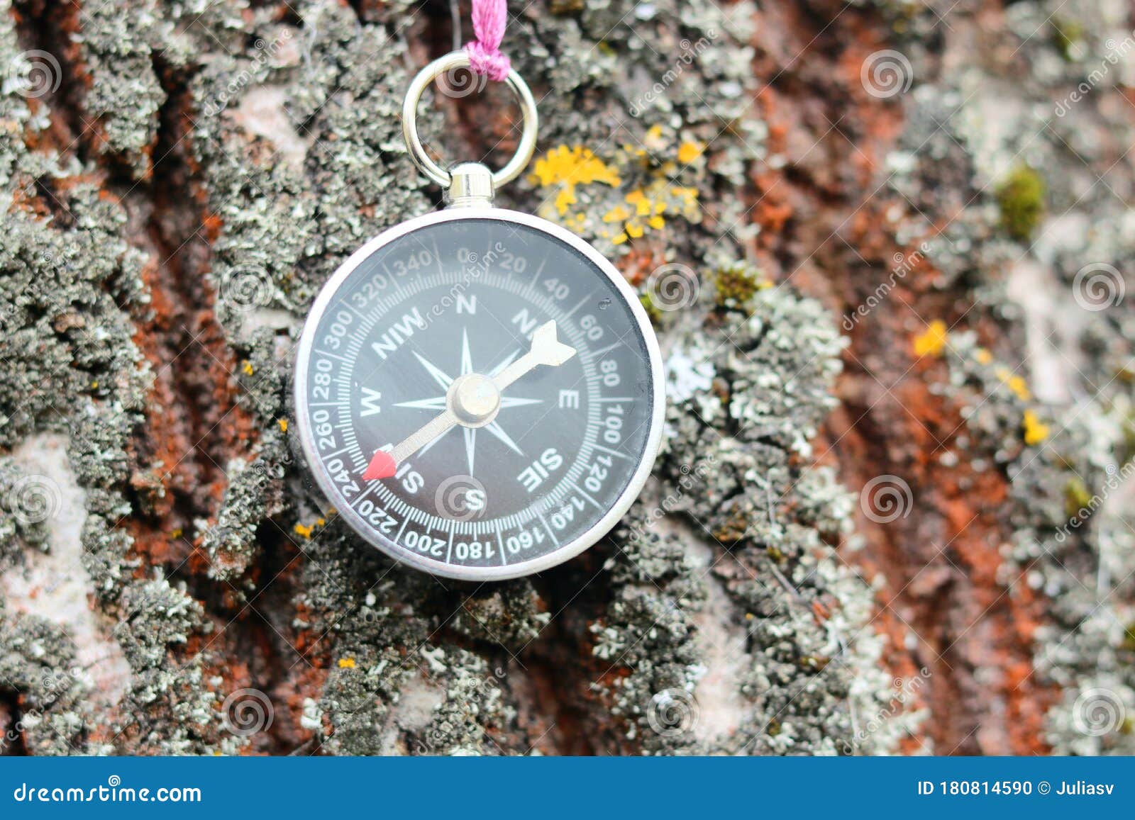 Old Compass on Tree in Forest Stock Photo - Image of guidance, bank ...