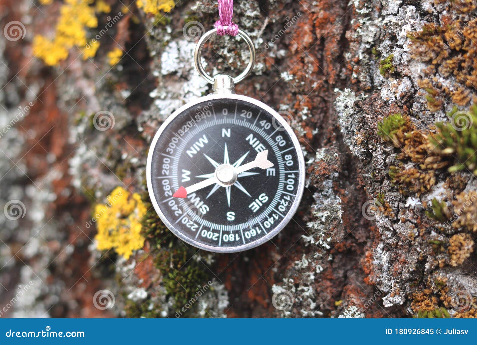 Old Compass on Tree in Forest Stock Image - Image of hiking, macro ...
