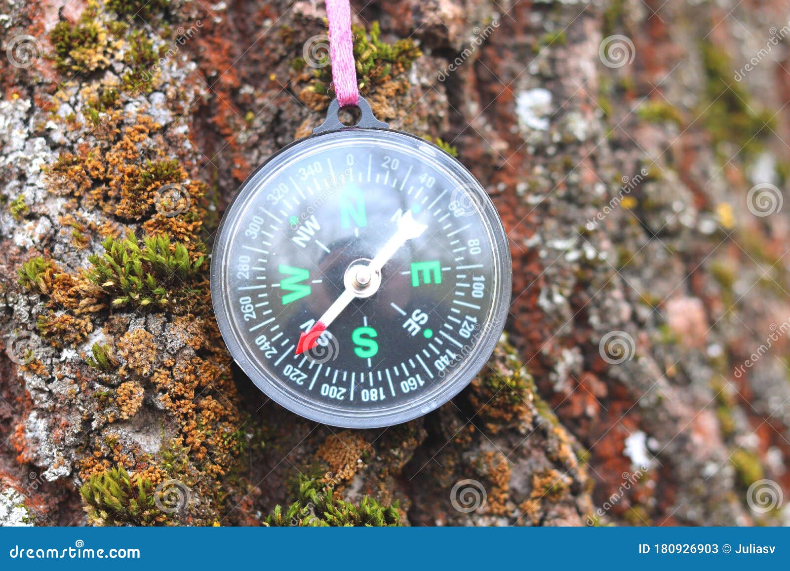 Old Compass on Tree in Forest Stock Image - Image of distance, latitude ...