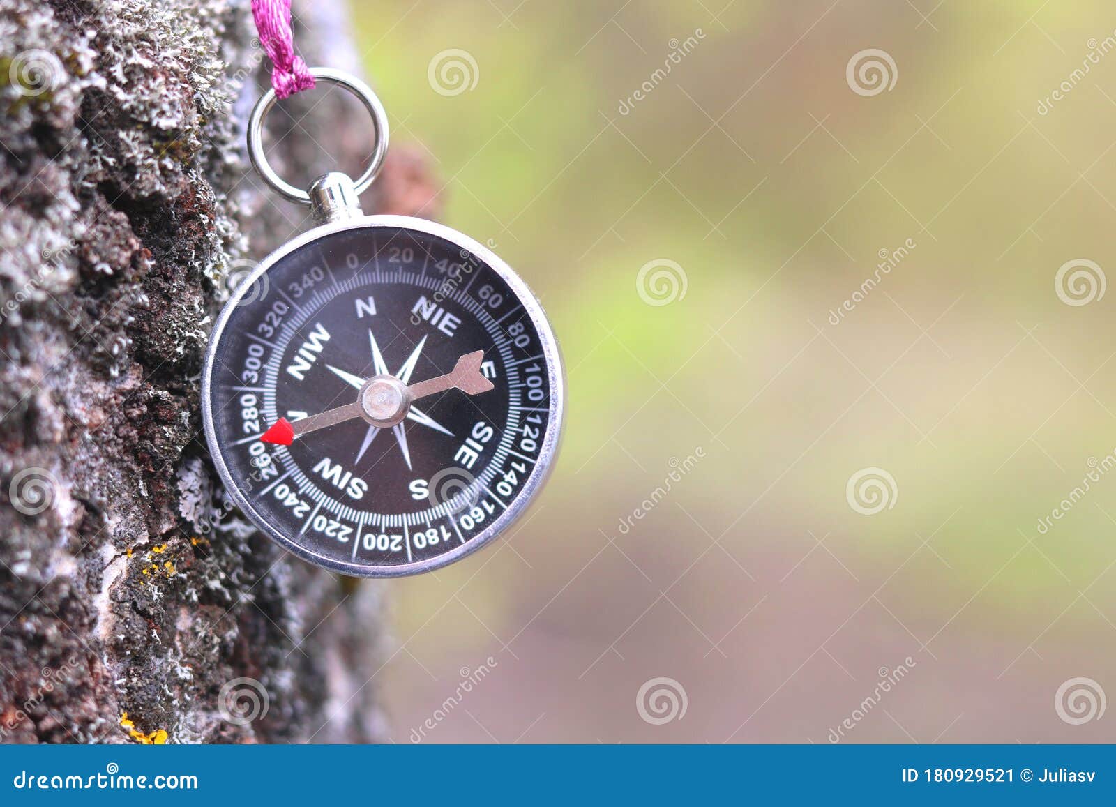 Old Compass on Tree in Forest Stock Image - Image of background, arrow ...